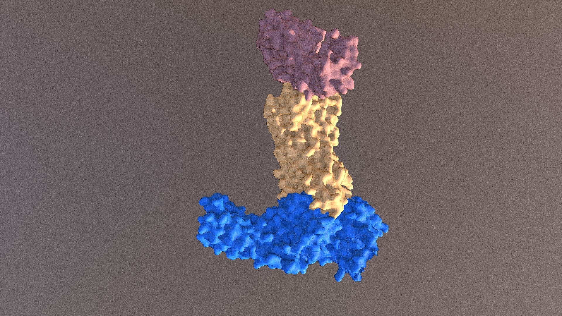 Rhodopsin - 3D model by Dominic (@dwaithe) [7761c6d] - Sketchfab