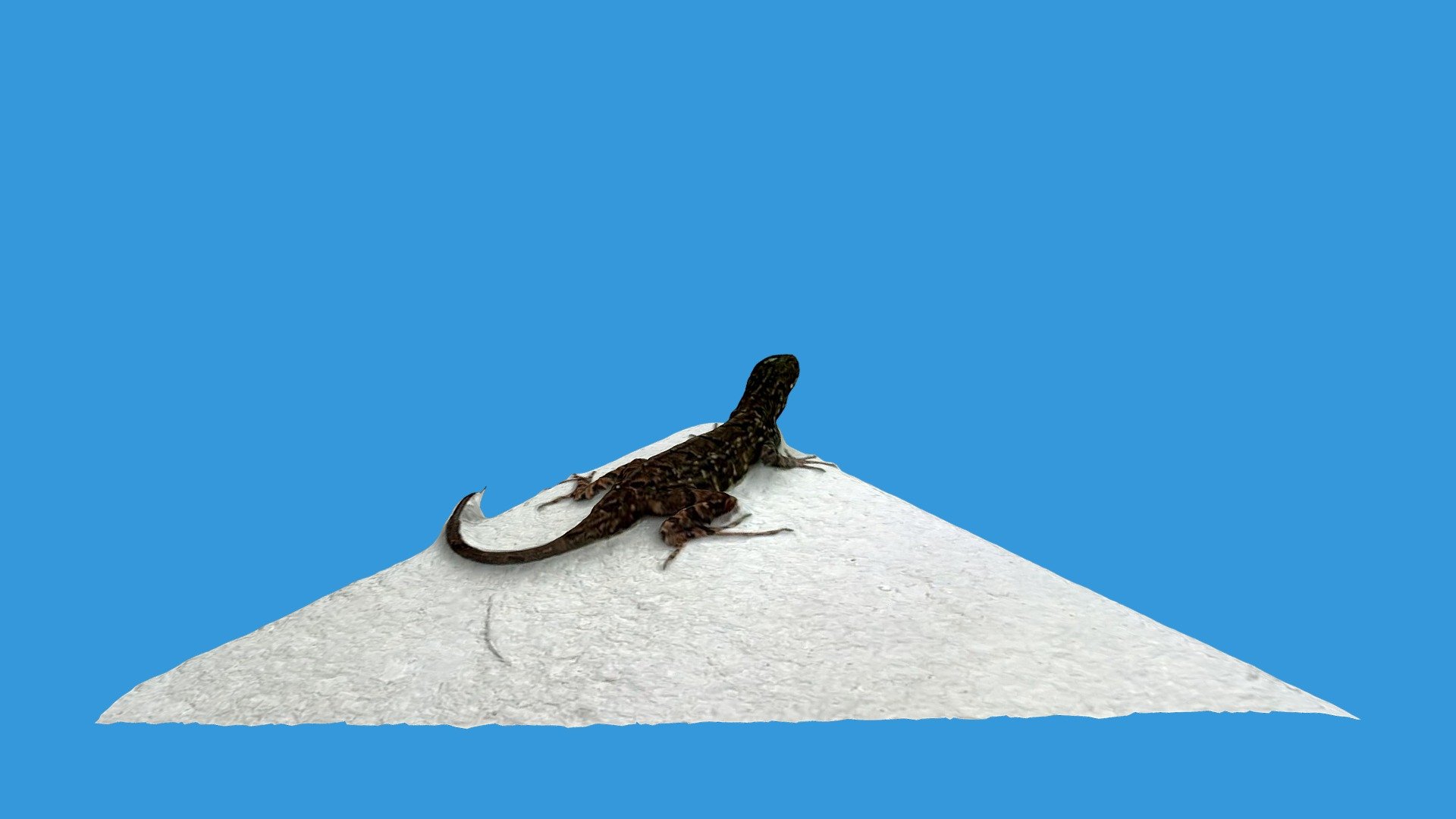 Lizard - Download Free 3D model by Terrie (@terrielsimmons) [7766537 ...