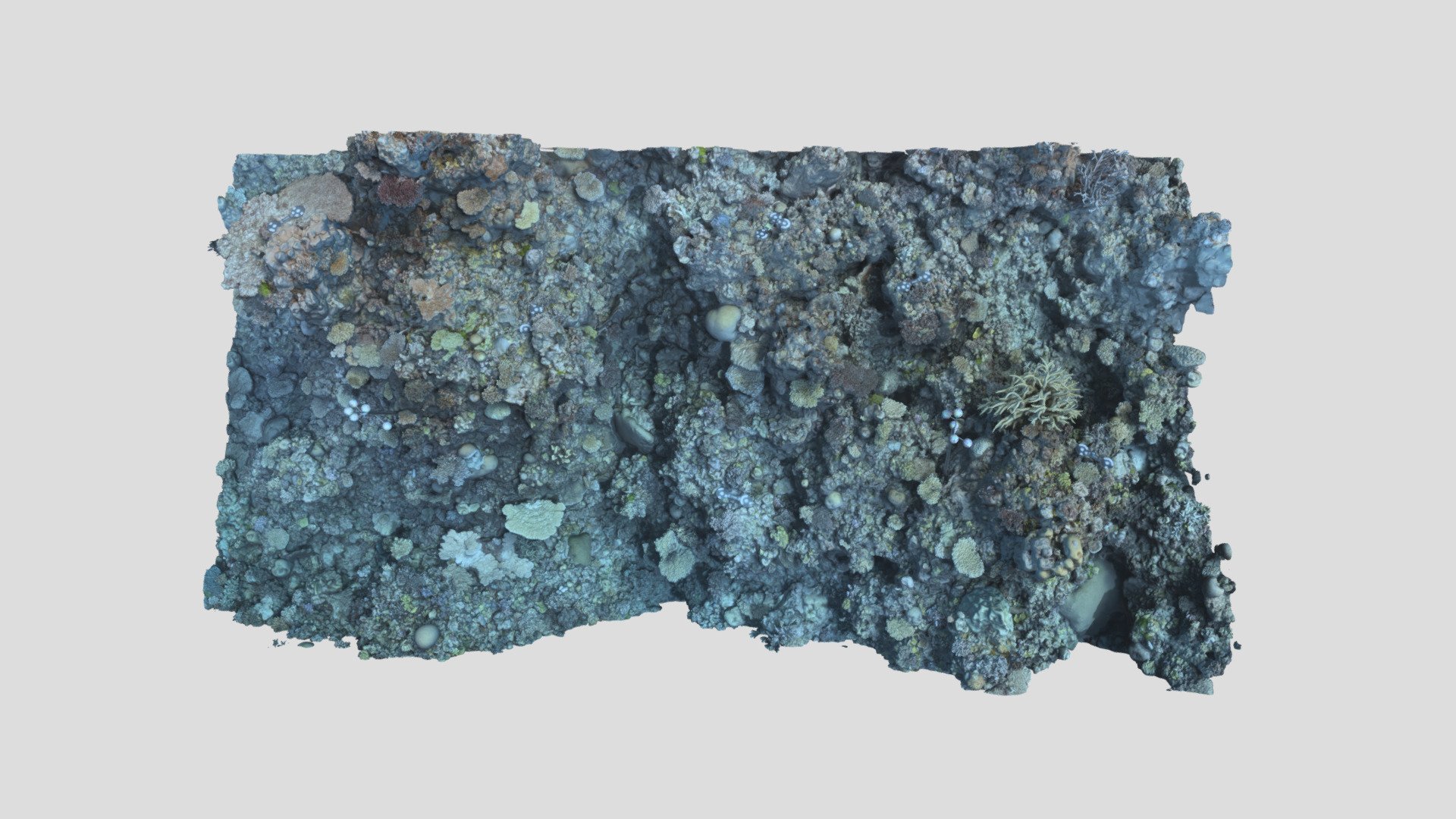 Davies_FL1S_P3_202301 - 3D model by EcoRRAP (@AIMSEcoRRAP) [776c935 ...