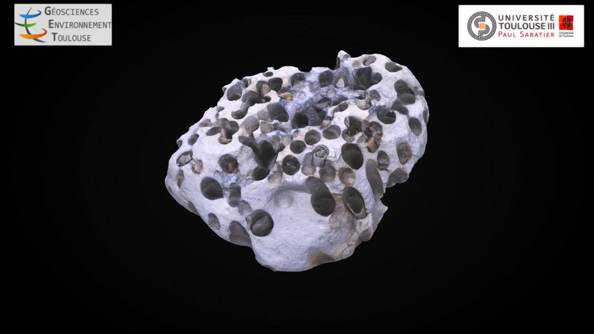 Calcaire Bio preforé - Download Free 3D model by Marc de RAFELIS ...