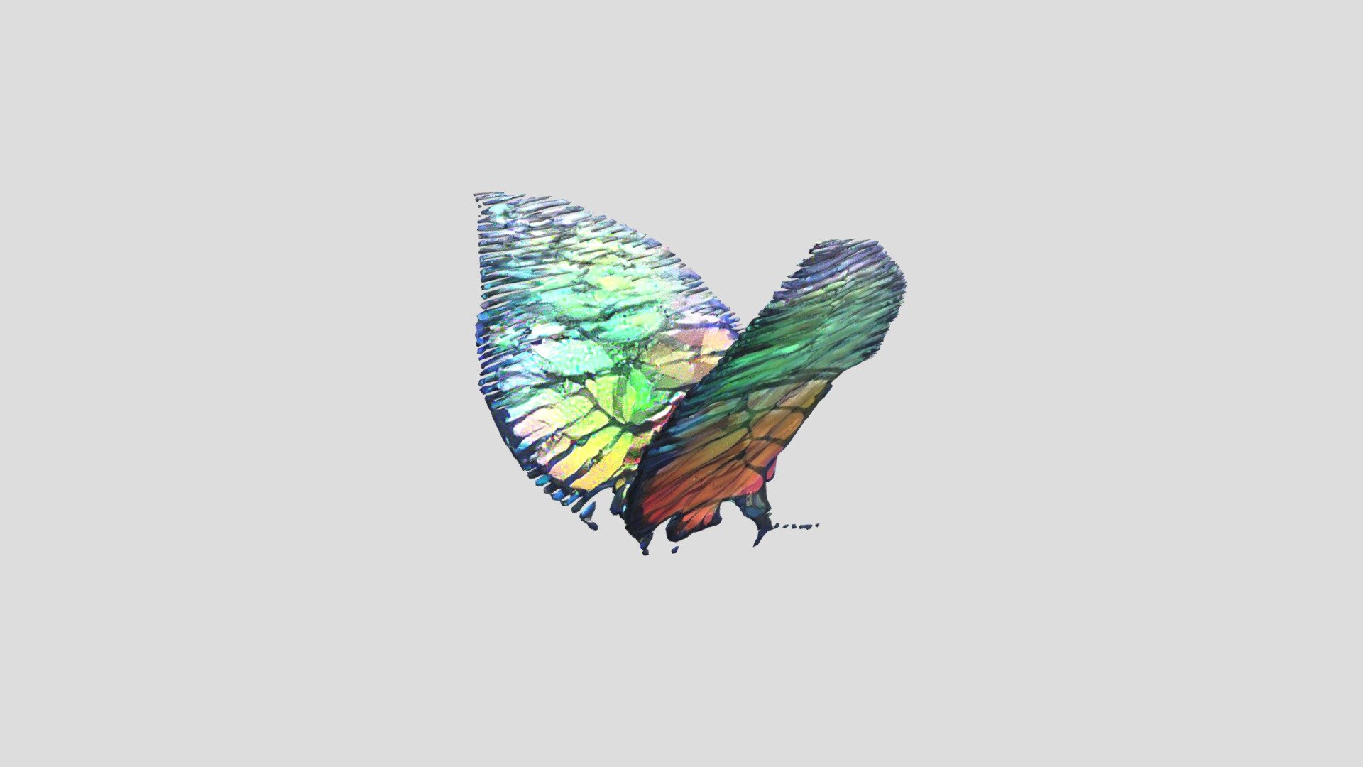 GoeM Butterfly2 by Luma - Download Free 3D model by goetzmensel ...