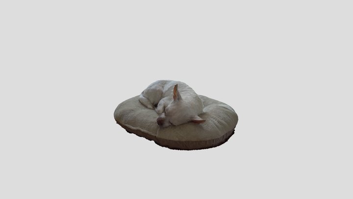 Kimchi 3D models - Sketchfab