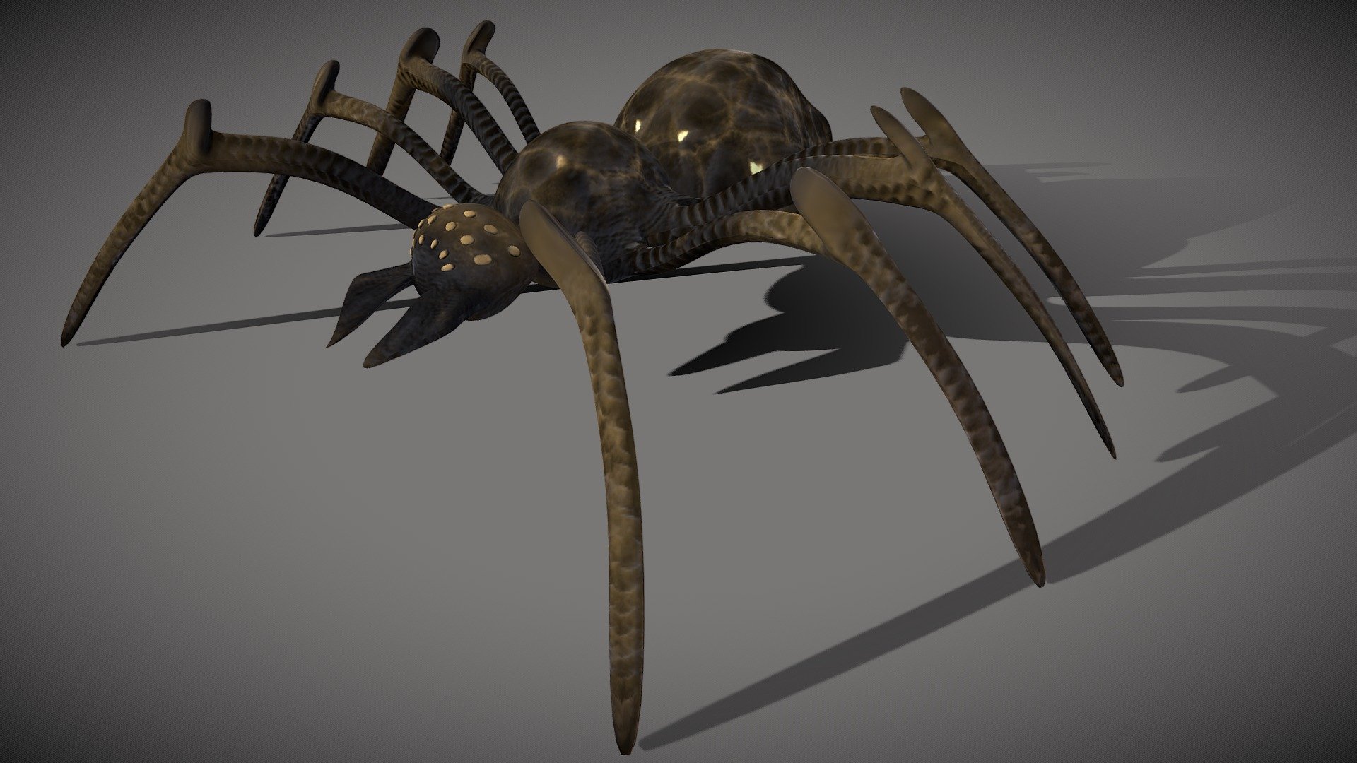 Spider - 3D model by danurk_ (@danurk1) [7771735] - Sketchfab