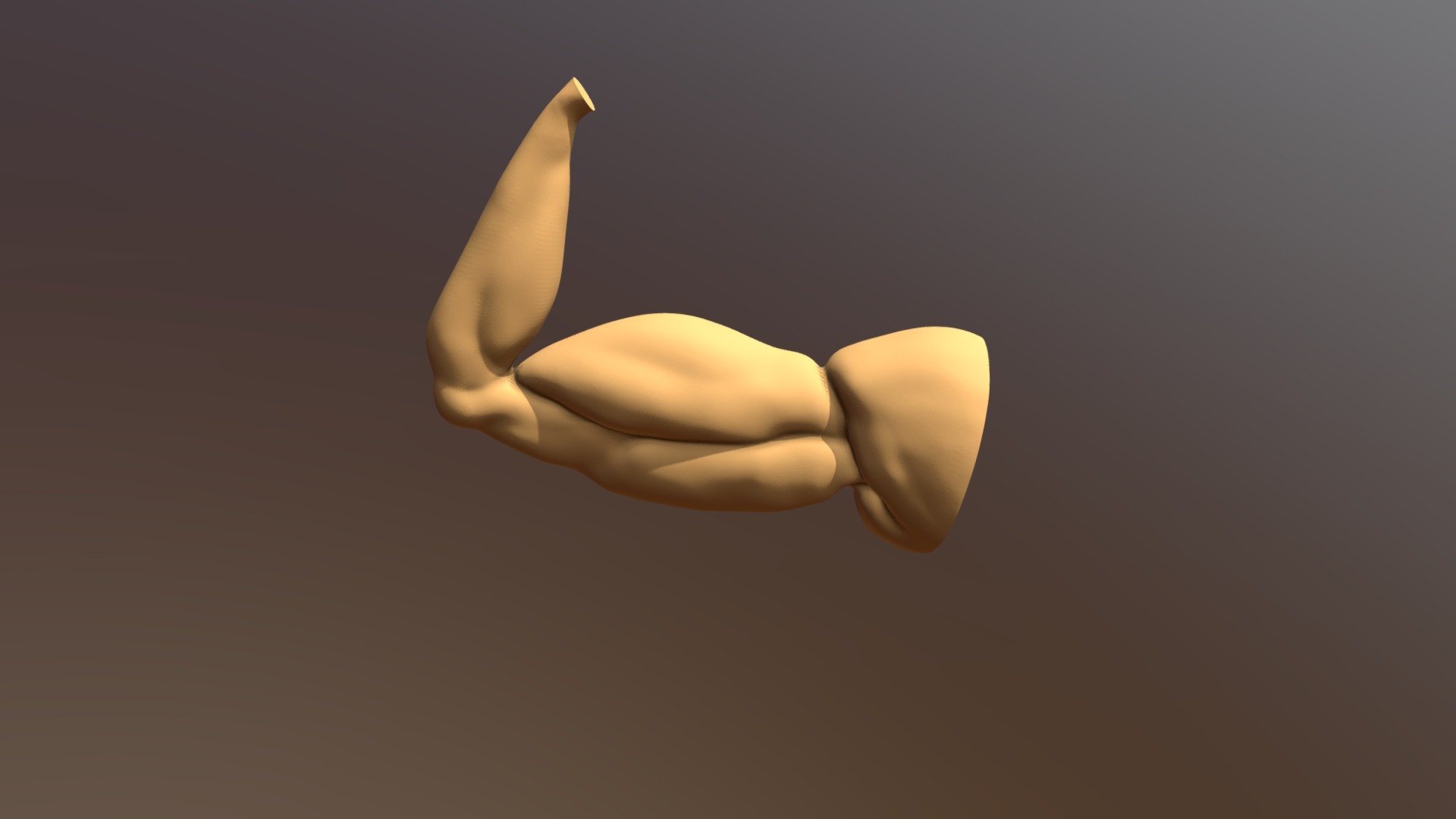 14 Flexing - 3D model by Zockbot [7778f73] - Sketchfab