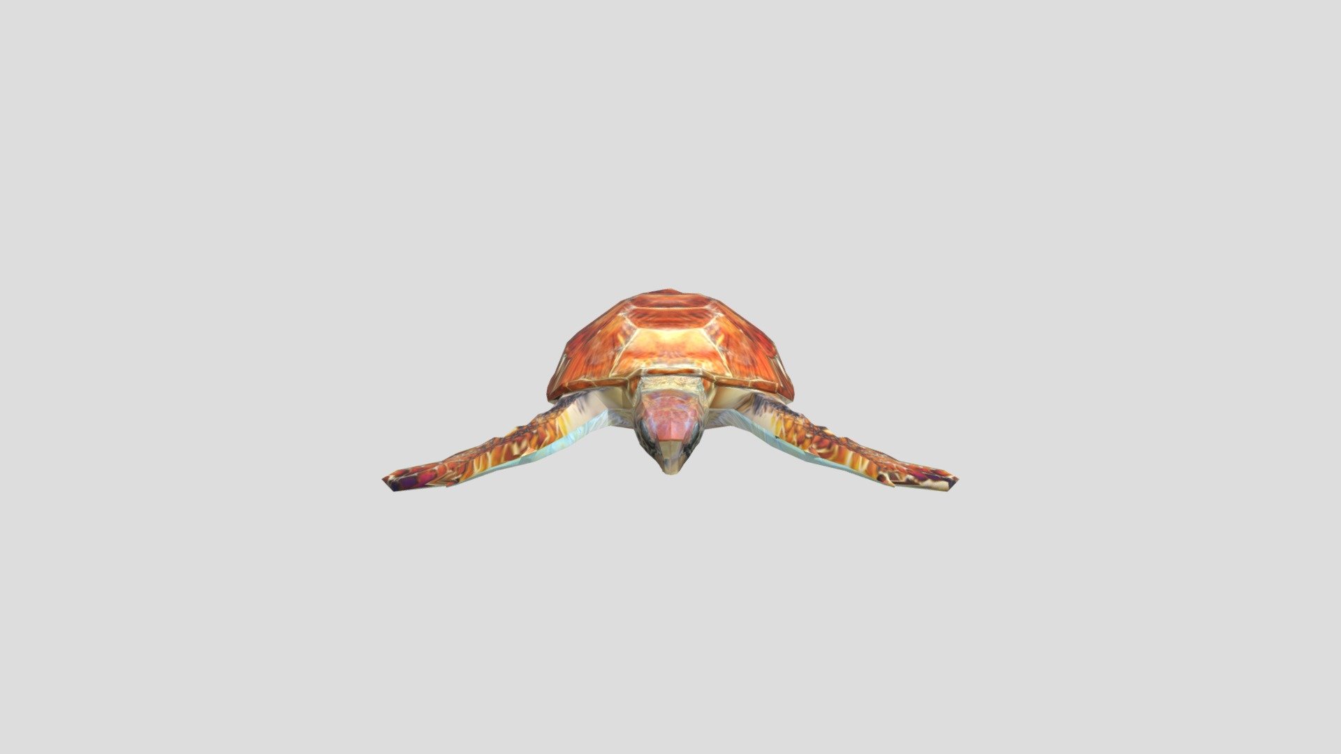 Tortuga - Download Free 3D model by SAVIA_Colombia (@Minambiente_Col ...