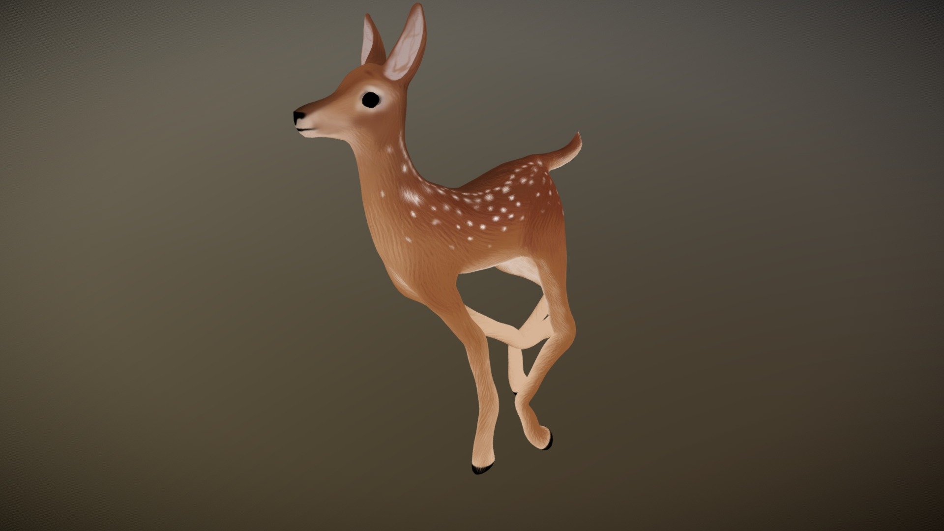 Young deer - 3D model by DaphneZwarts [778bcf8] - Sketchfab