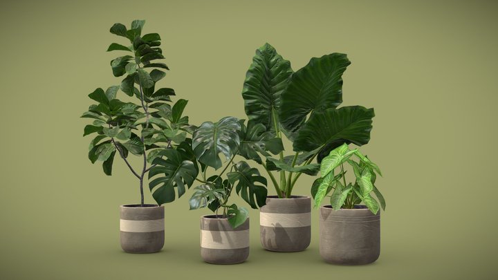 Leaves 3D models - Sketchfab