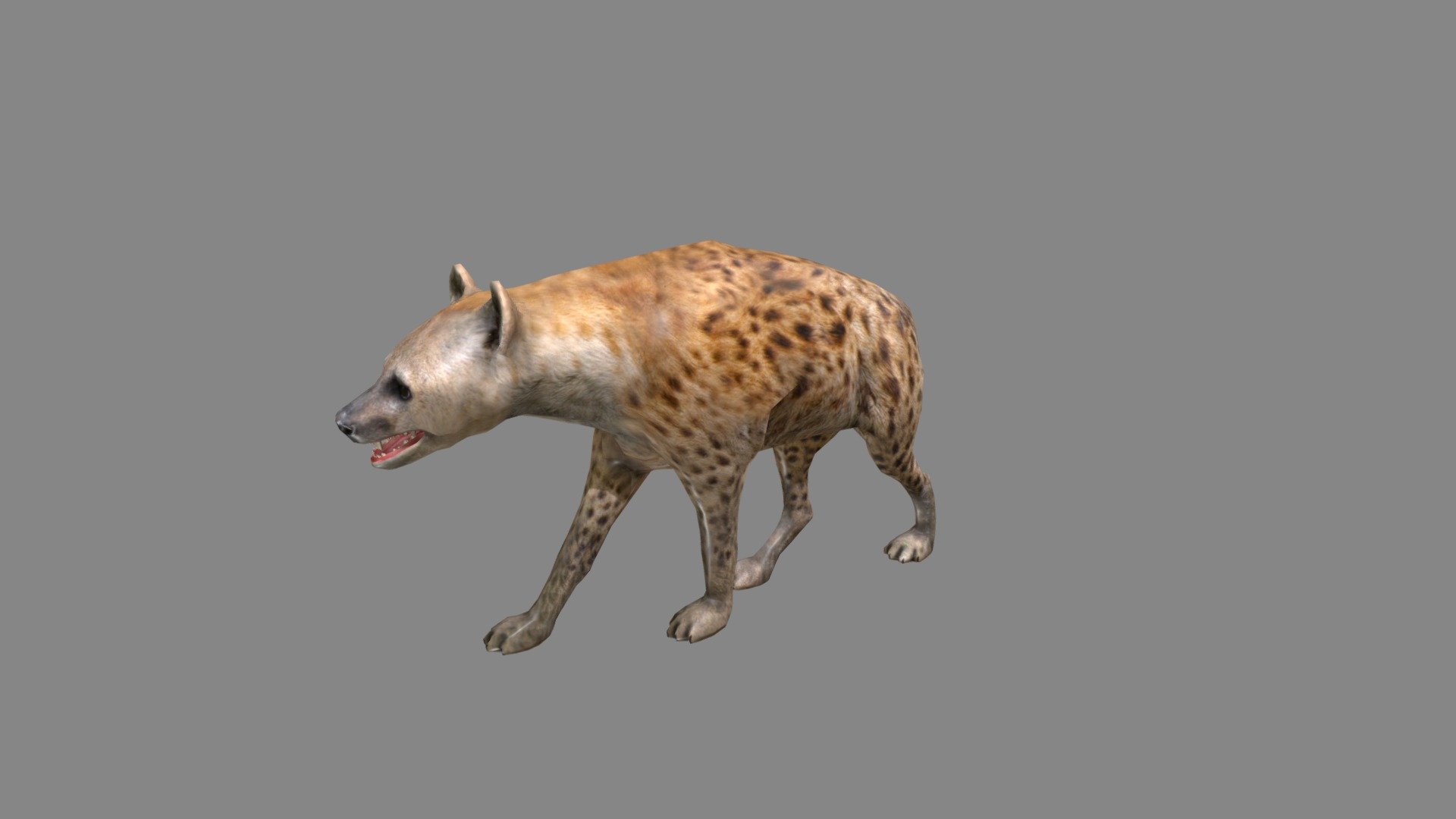 Hyena - 3D model by josluat91 [779a55e] - Sketchfab