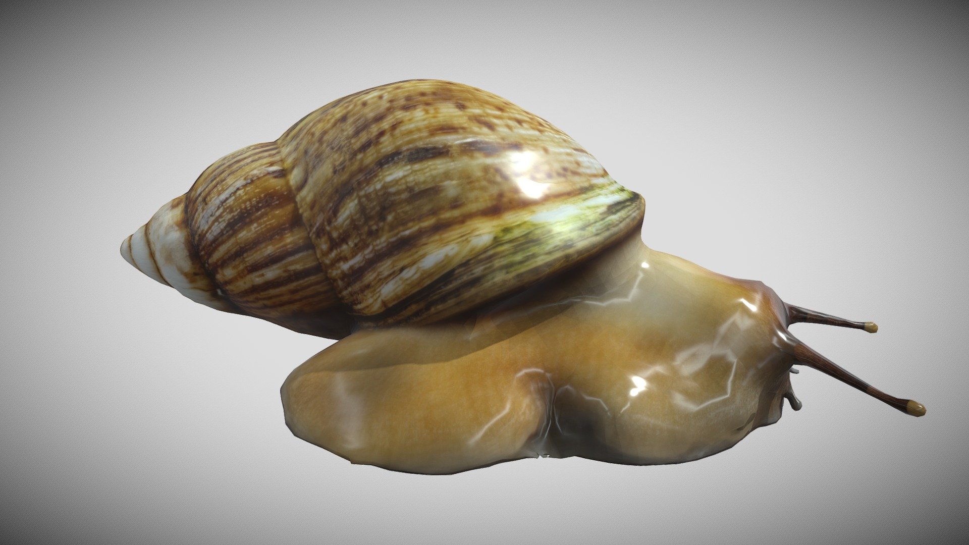 ulit7 - 3D model by for3dteam [77a030e] - Sketchfab