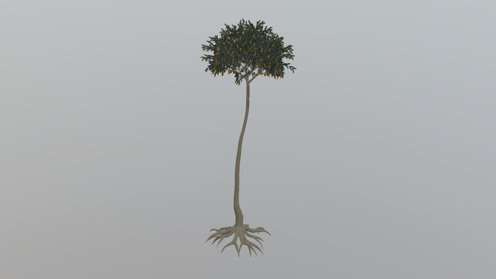 Lepidodendron - 3D model by Diprotodon [77a3c66] - Sketchfab