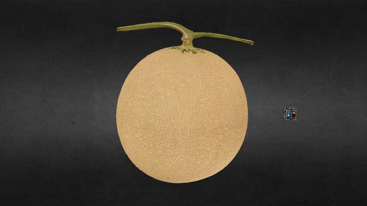 Melon 3D models - Sketchfab