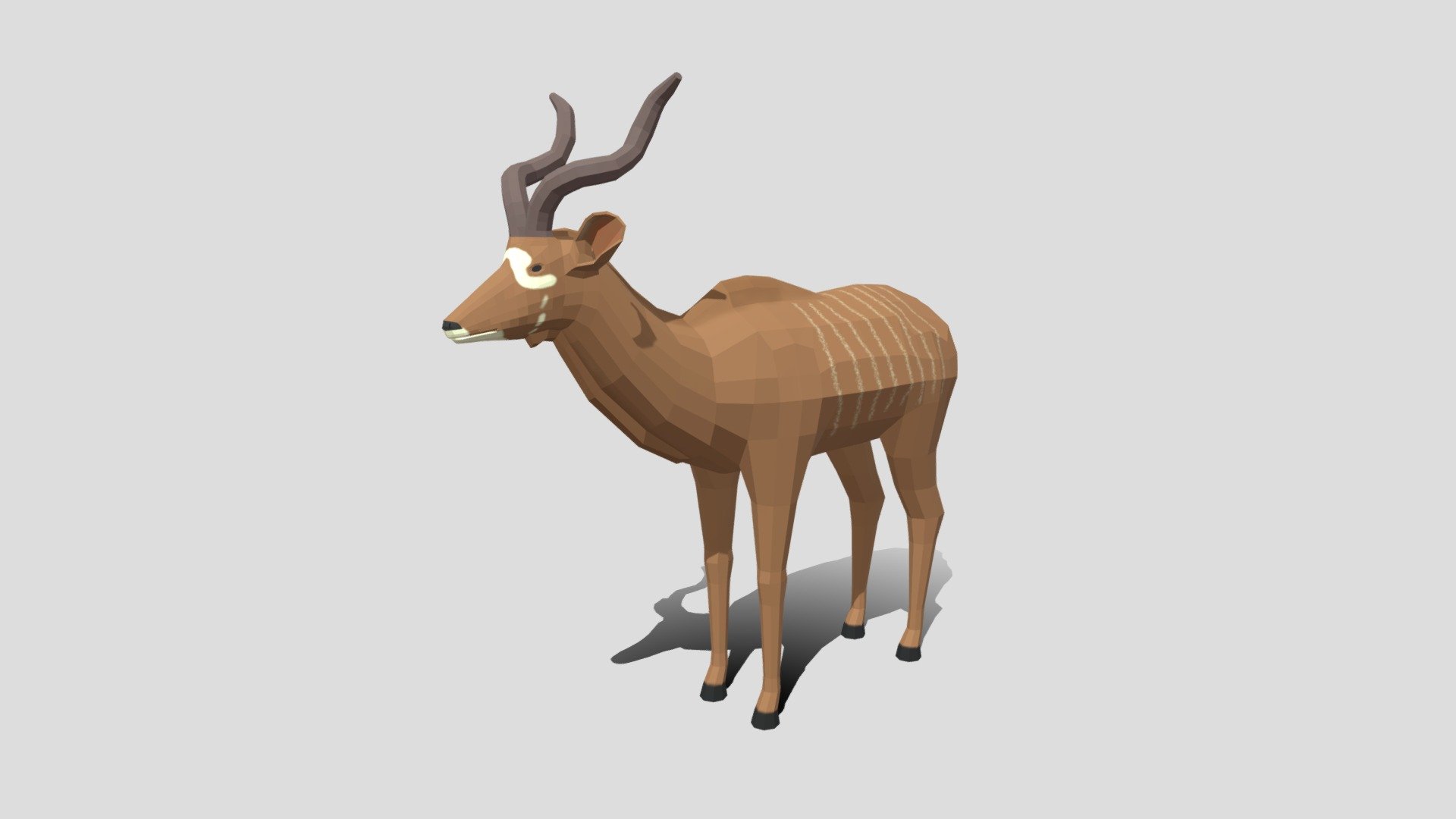 Kudu Antelope