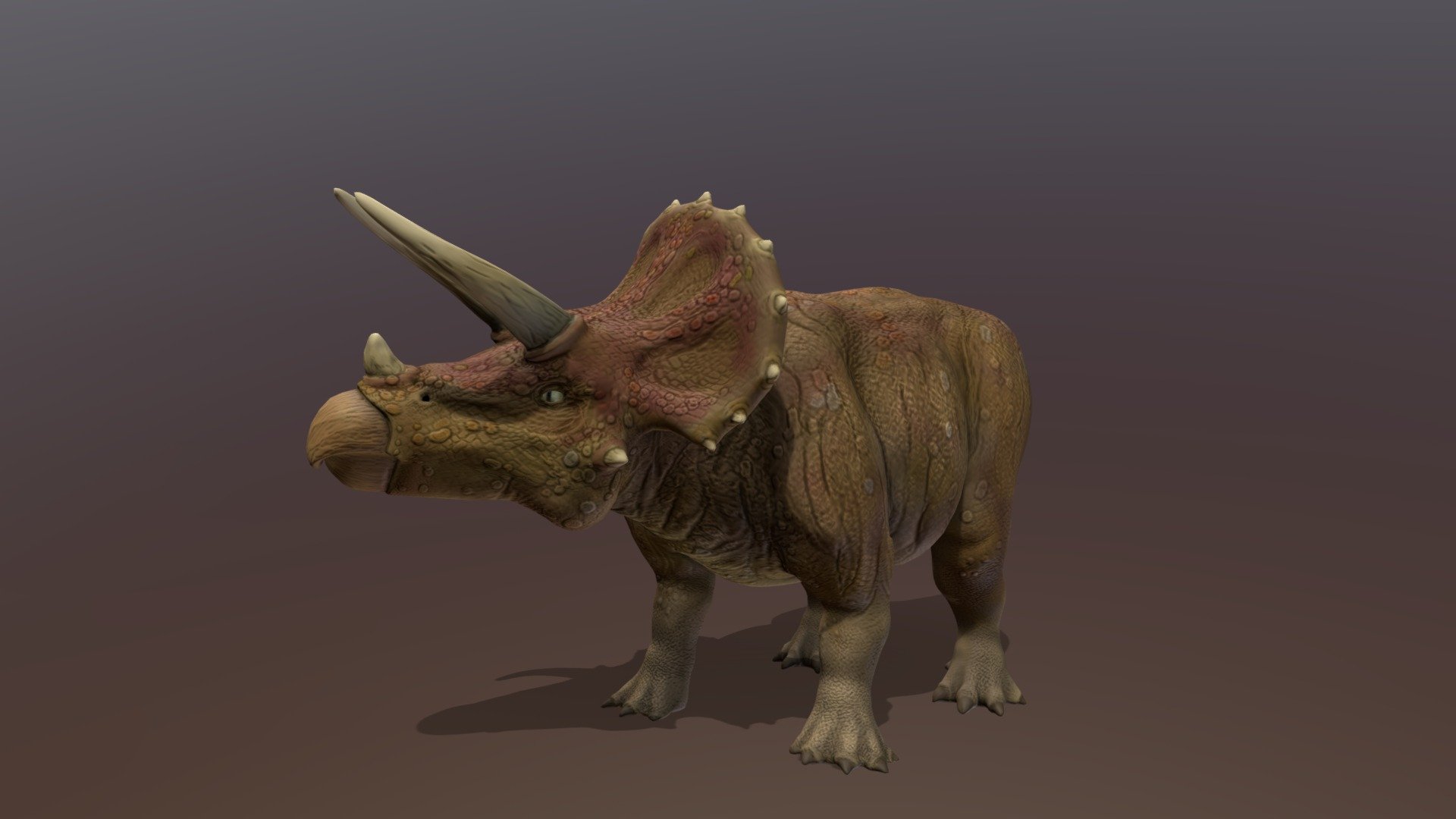 Triceratops - 3D model by tashtego [77b4dd6] - Sketchfab