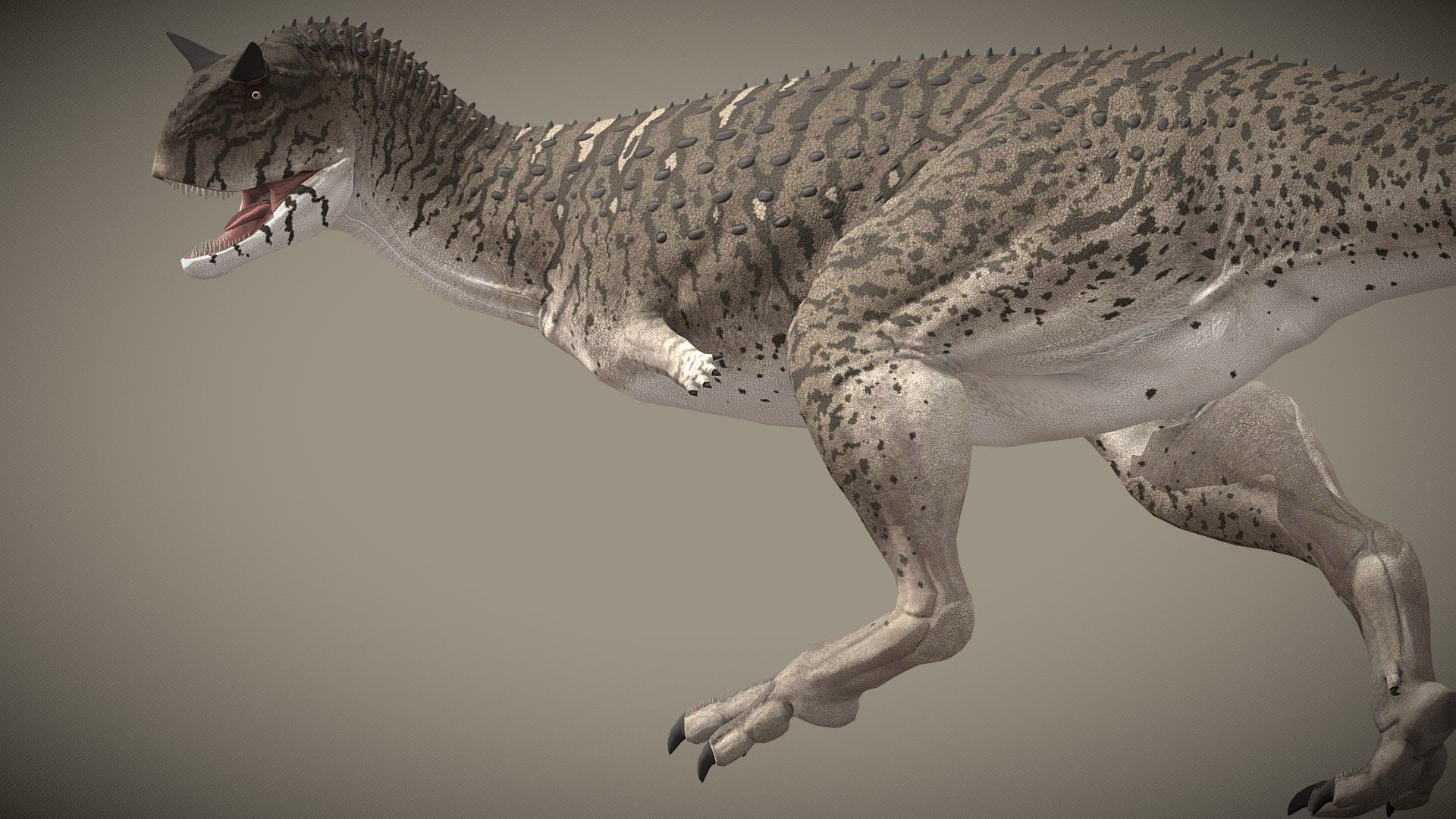 Carnotaurus sastrei - Download Free 3D model by AllThingsSaurus [77b8976] - Sketchfab