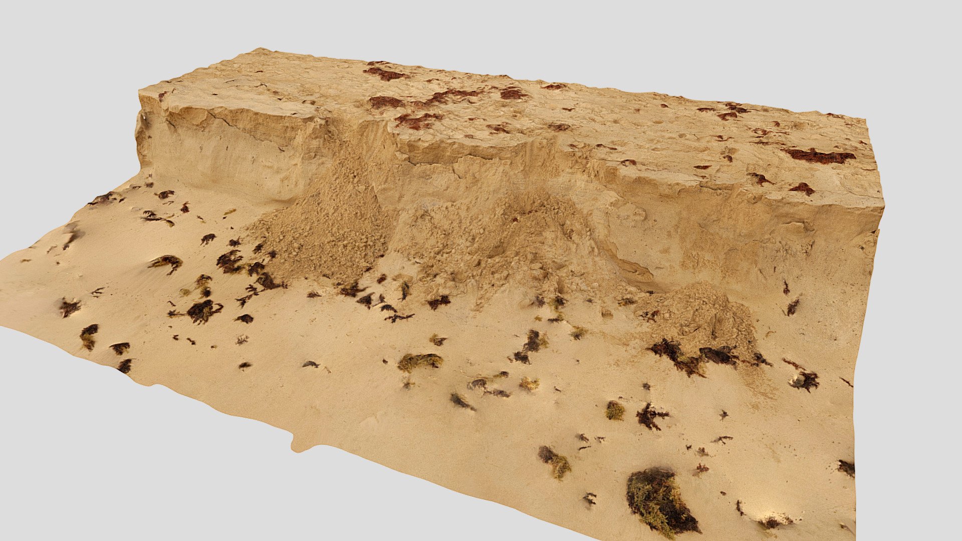 Beach sand scan 8k 010 - Buy Royalty Free 3D model by immerge [77c4dd0 ...