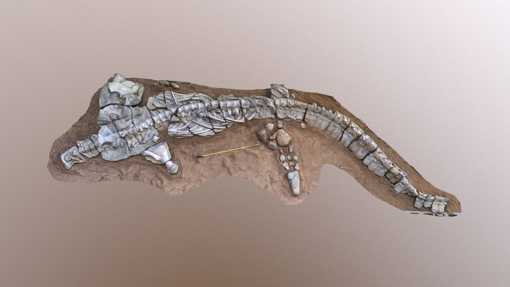 Percy - 3D model by espenkn80 [77c9837] - Sketchfab