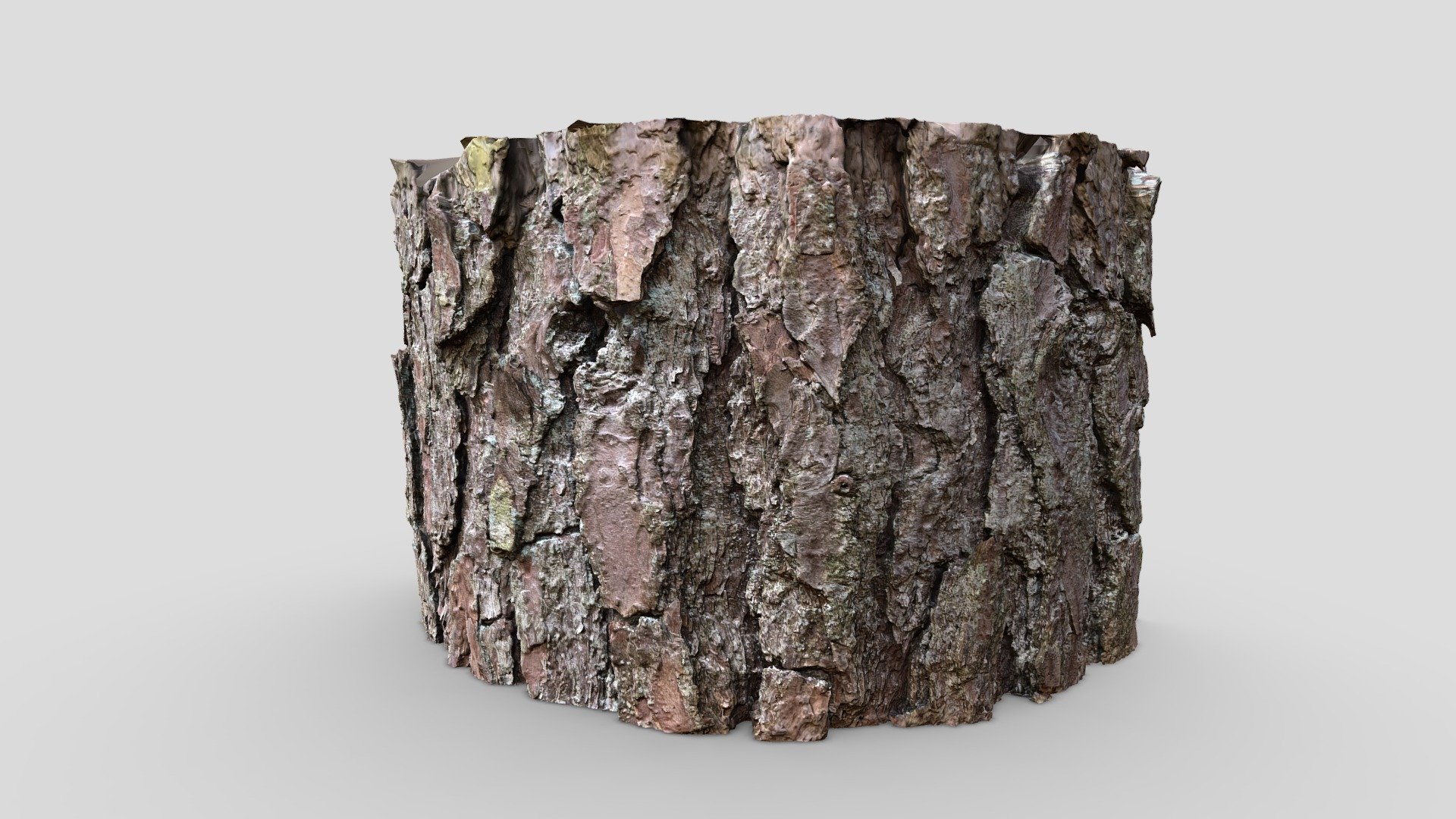 Bark Closeup - RealityScan - Download Free 3D model by teddygbg ...