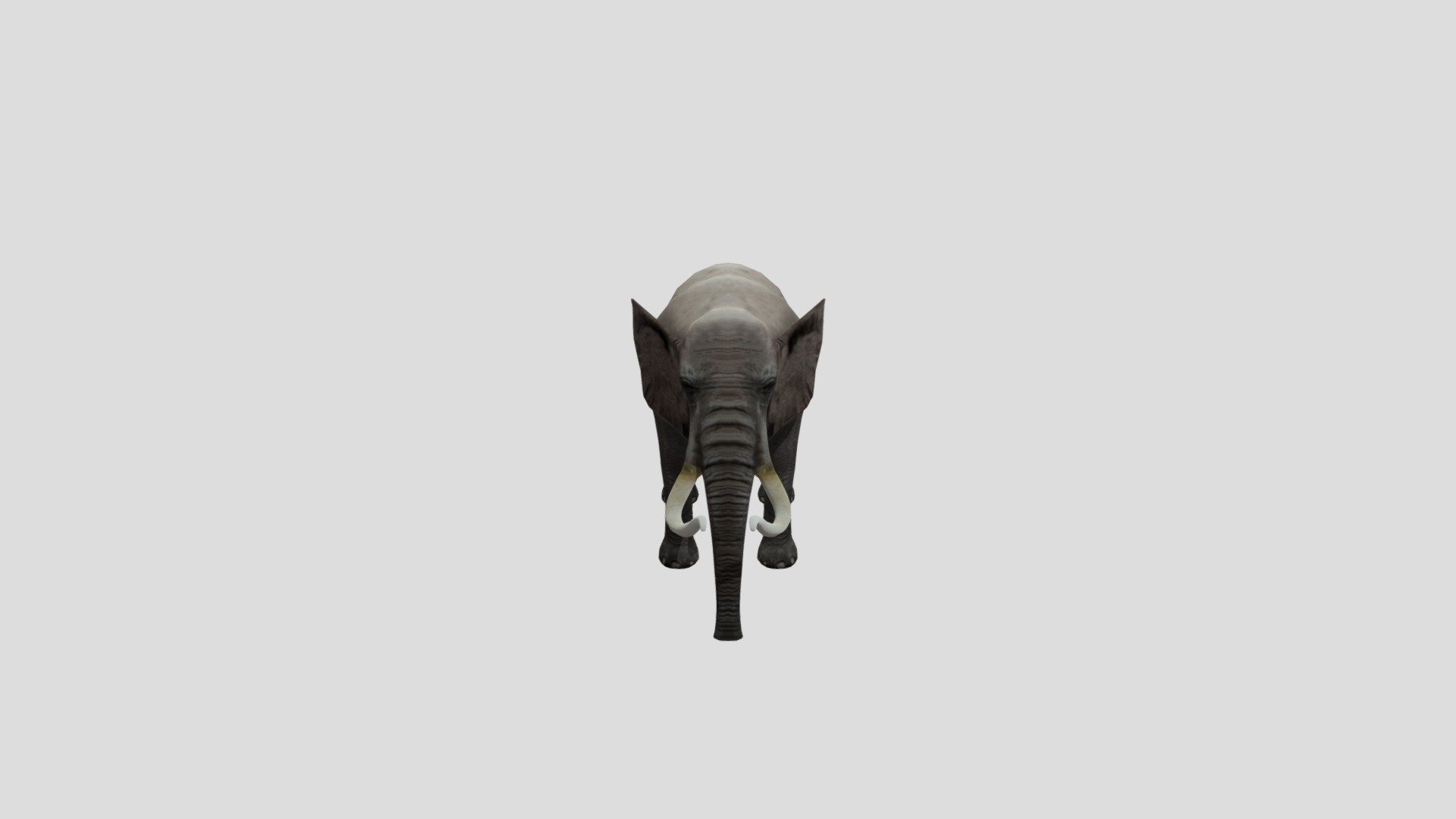 Uploads_files_4247447_elephant - Download Free 3D model by eyork4633 ...