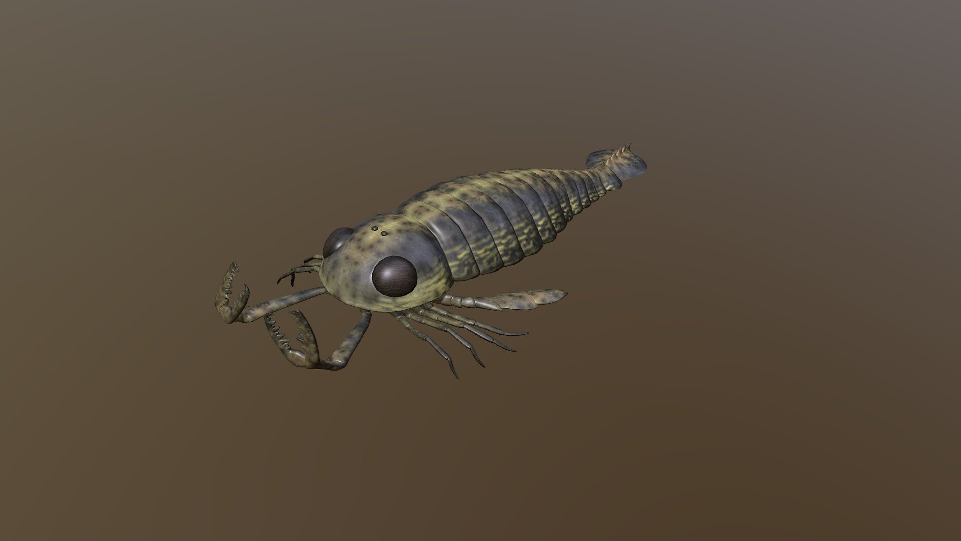 Pterygotus by Dino Raul - Download Free 3D model by kenchoo [77e31d7 ...