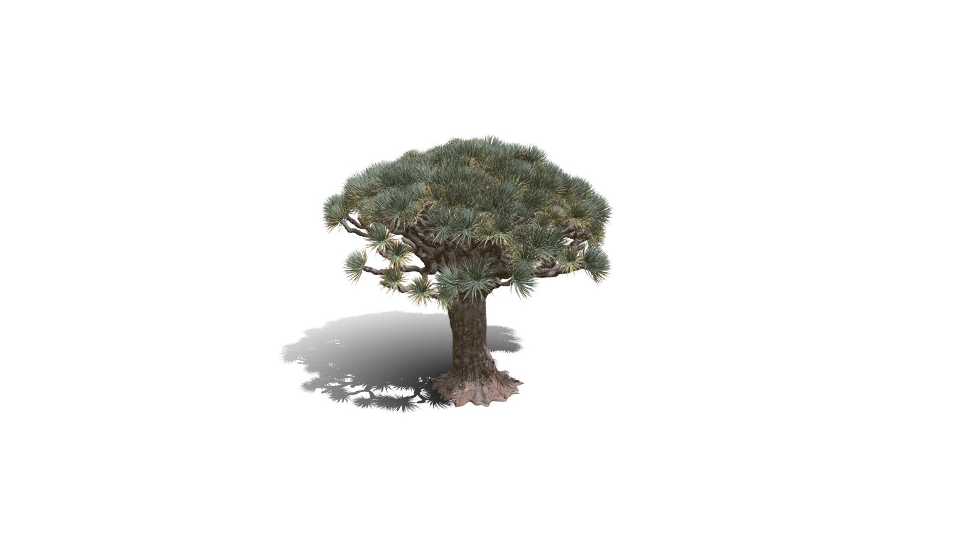 Realistic HD Dragon tree (50/50) - Download Free 3D model by ...