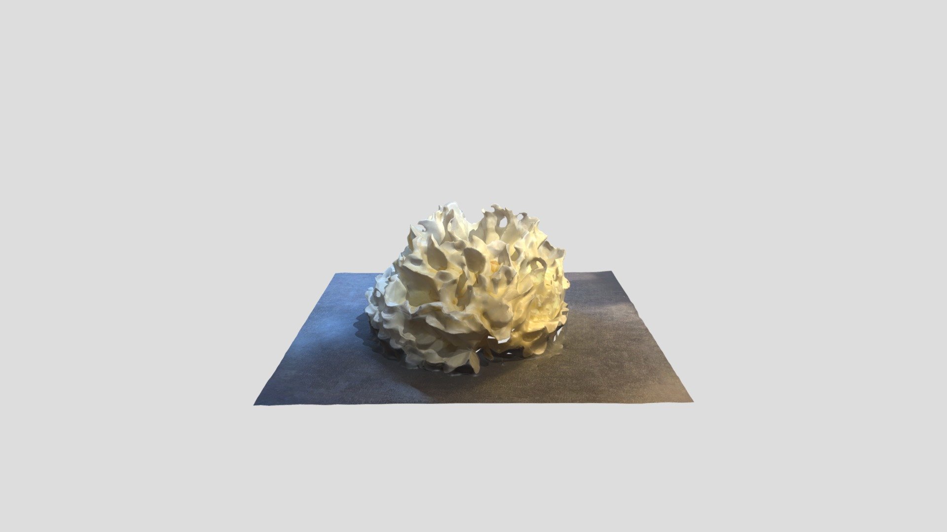 Paper Flower - 3D model by Haokun [77f1ec6] - Sketchfab