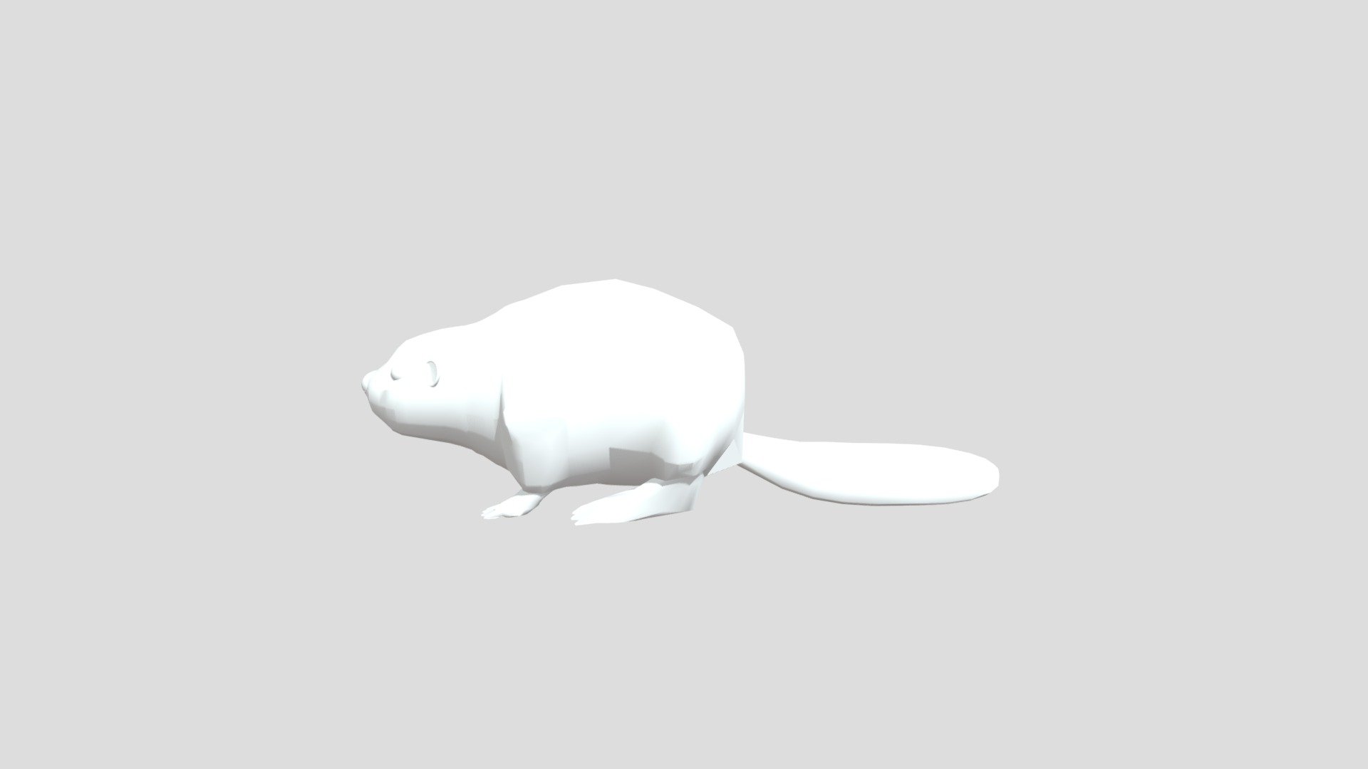 Beaver Without Texture - 3D model by lizzielarissie [77f7952] - Sketchfab