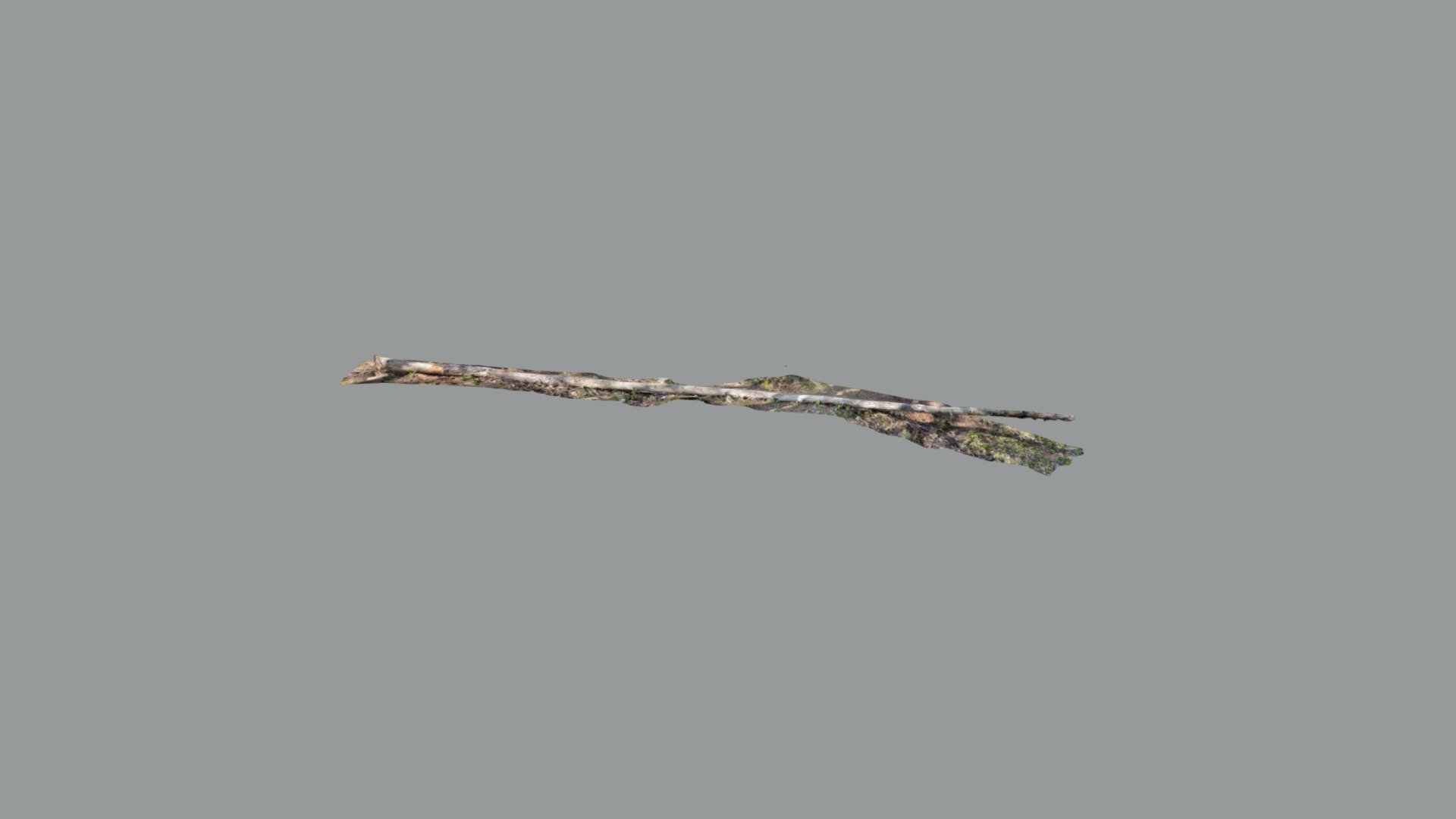 A fallen Norwegian tree - Download Free 3D model by pixellevel [77f93d1 ...