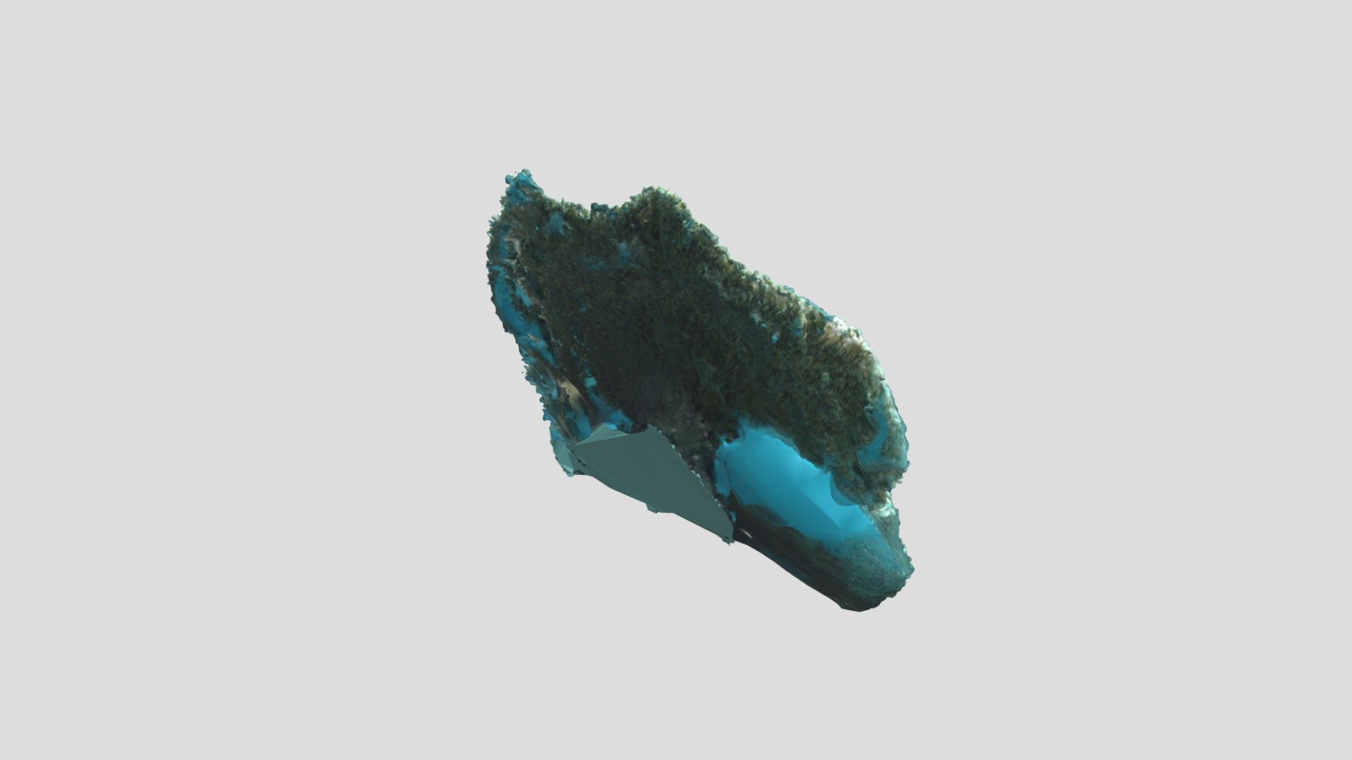 Acropora Table surveyed 2014 - 3D model by gspeca [77fc99f] - Sketchfab