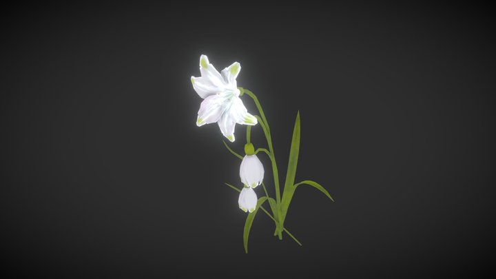 Snowdrop 3D models - Sketchfab
