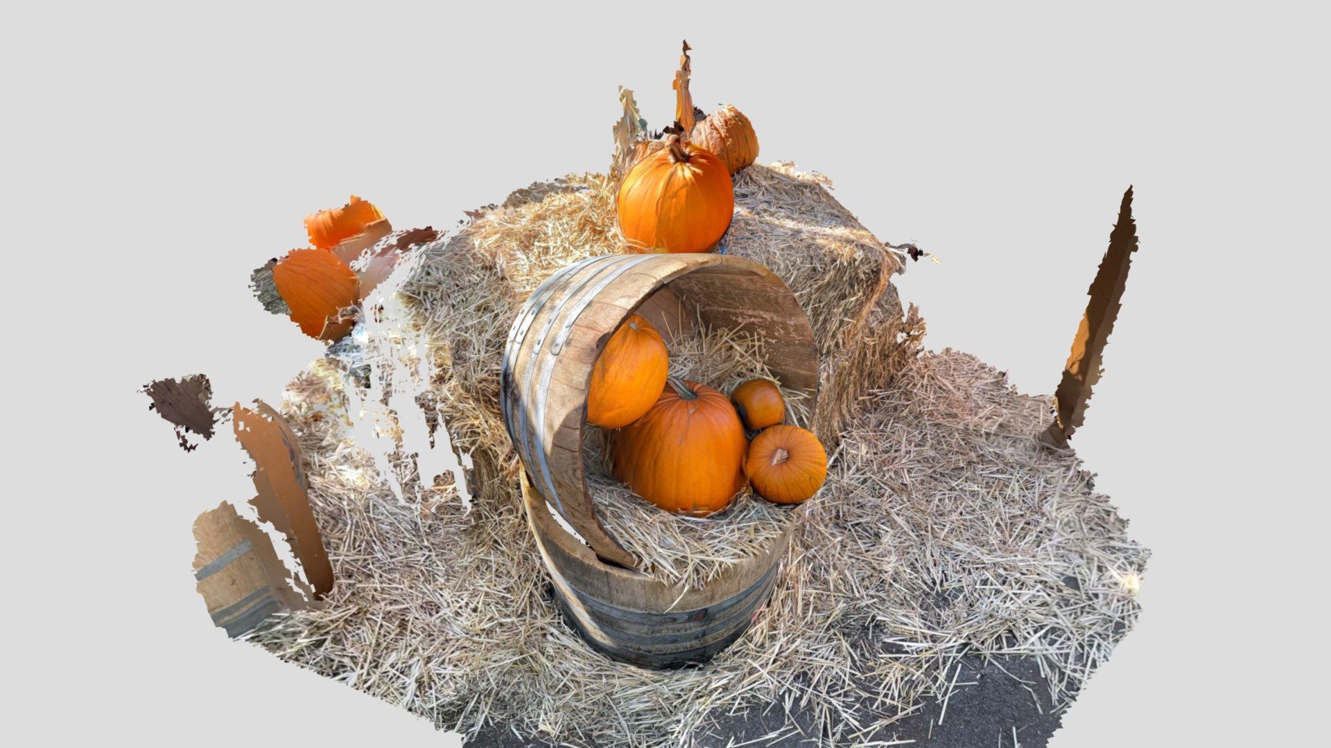 Pumpkins - 3D model by openspace.ai [7814e58] - Sketchfab