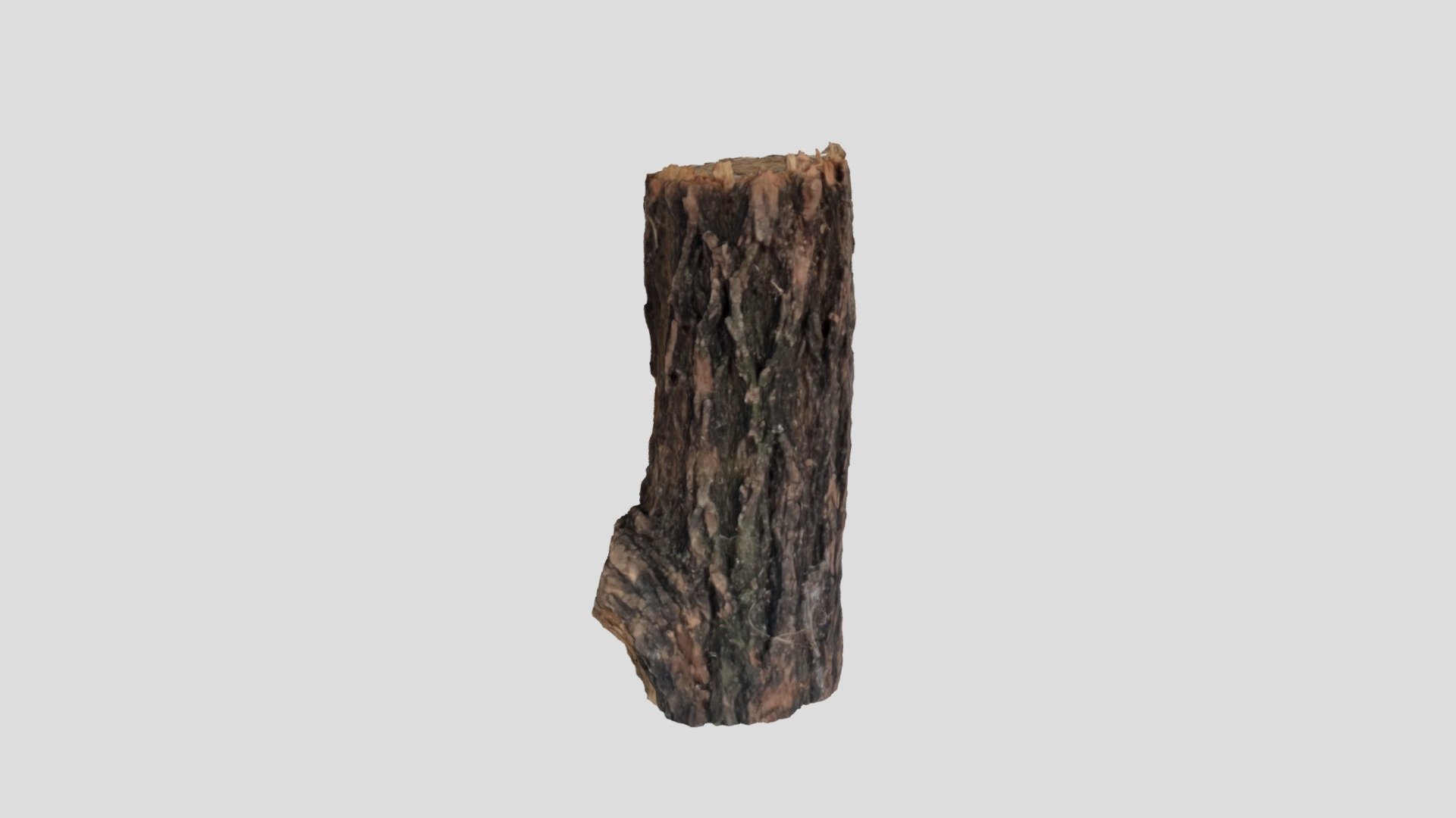 tree trunk - Download Free 3D model by Niemow1 [7816f6d] - Sketchfab
