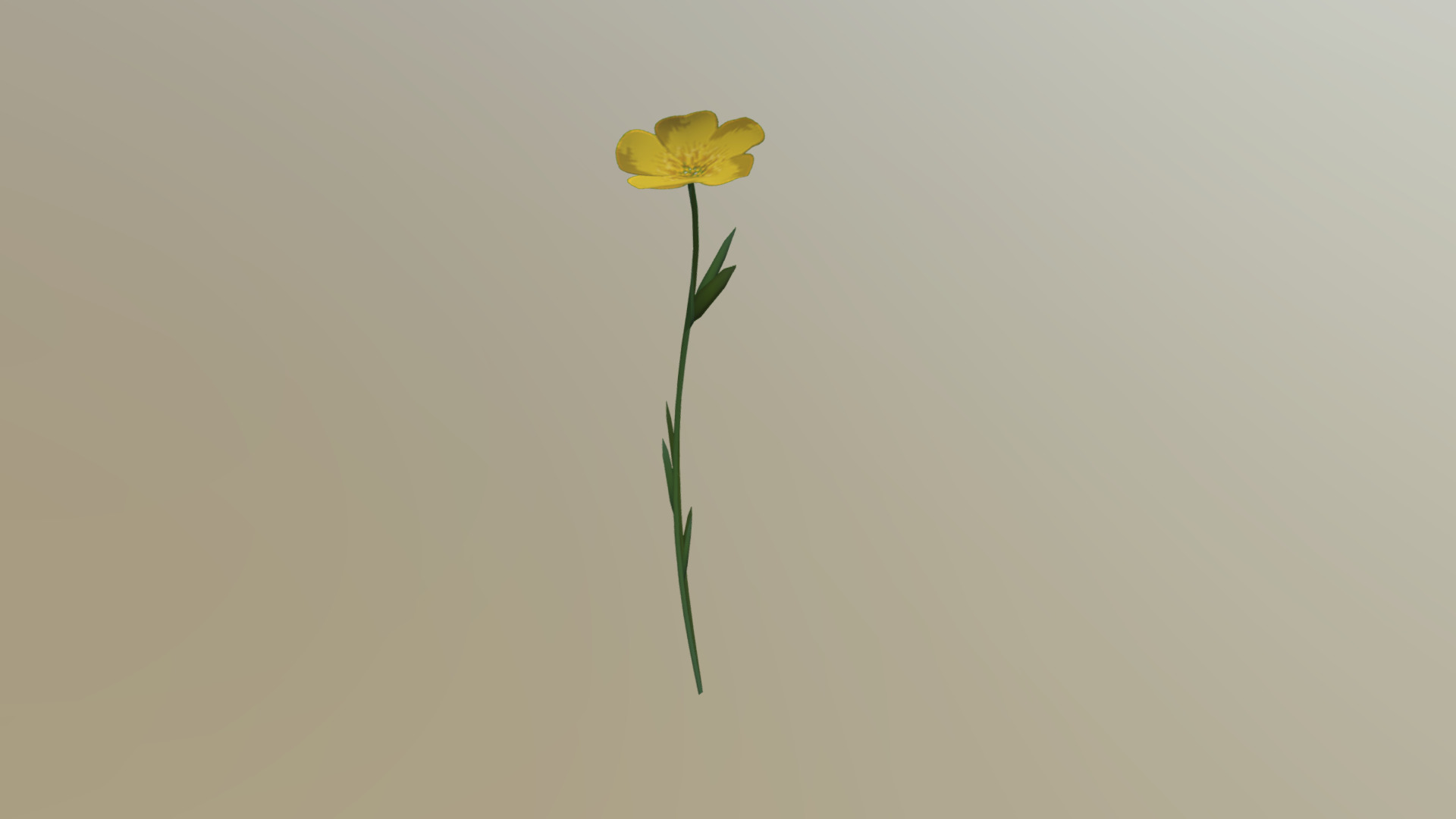 Butter Cup Flower - 3D model by Peter Achim (@PeterAchim) [7819cf3 ...