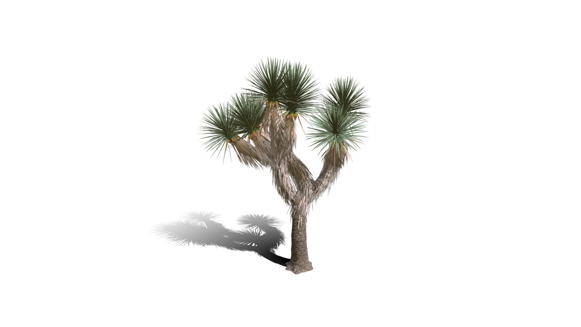 Realistic HD Joshua tree (28/30) - Download Free 3D model by ...