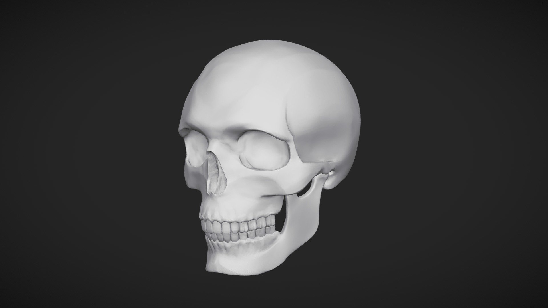 Skull - Human Anatomy Study - 3D model by Hossam (@hossam.ahmed ...