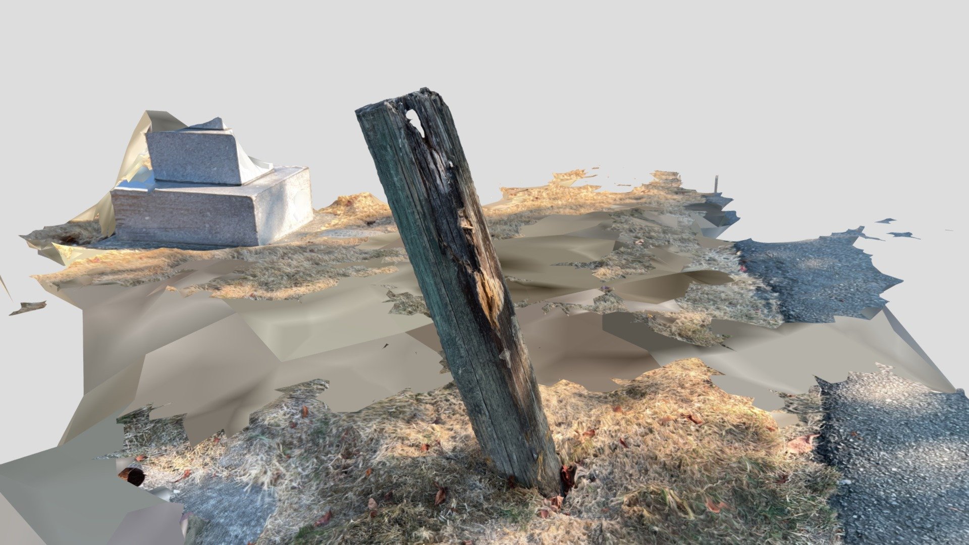 Broken log - 3D model by Reo Creative Scanning (@ReoCreativeScanning ...