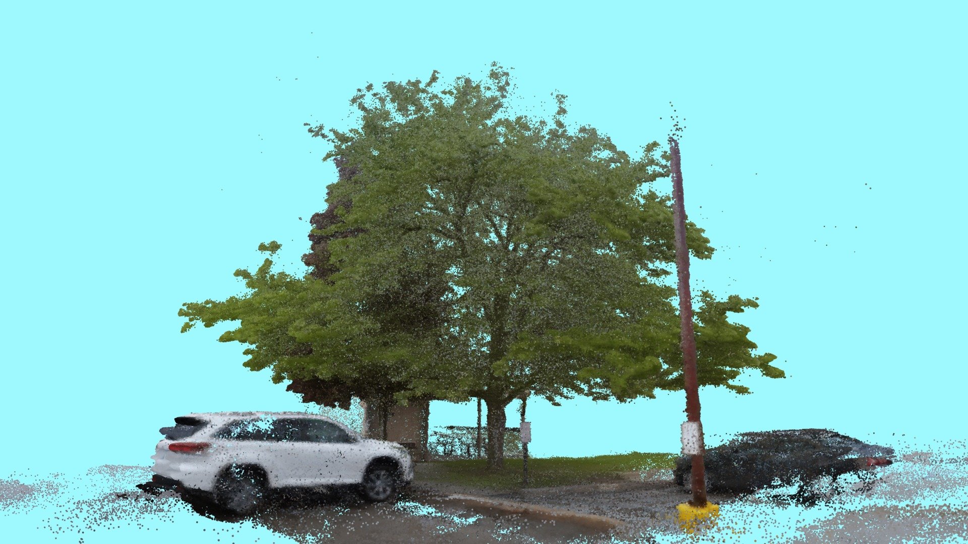 Small Honey Locust - 3D model by Aerial Arborist Innovations ...