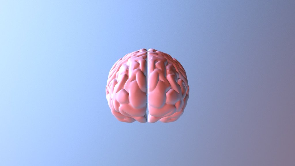 Brain 1 - 3D model by marwis [7823570] - Sketchfab