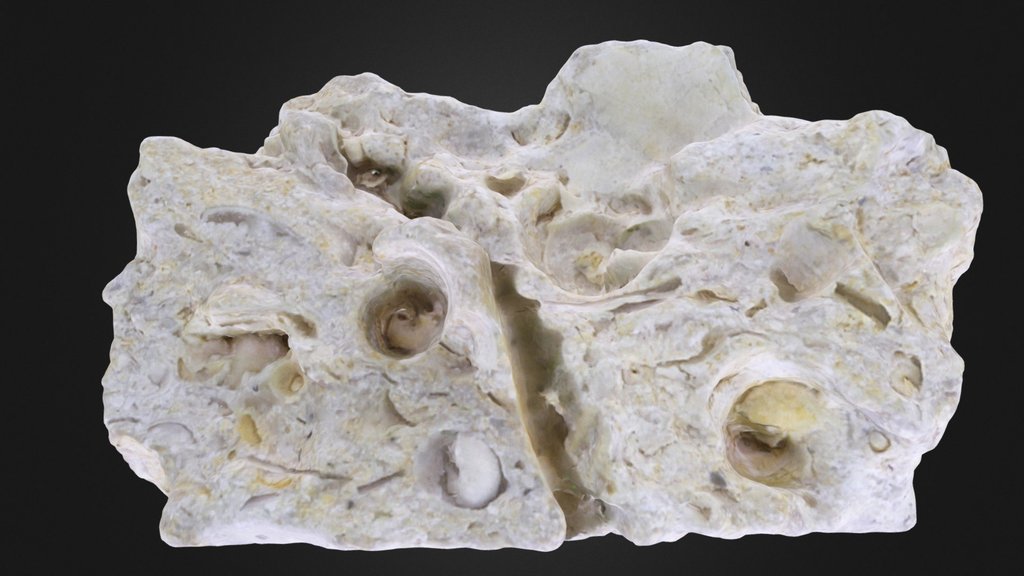 Sedimentary rocks - A 3D model collection by amcphee - Sketchfab