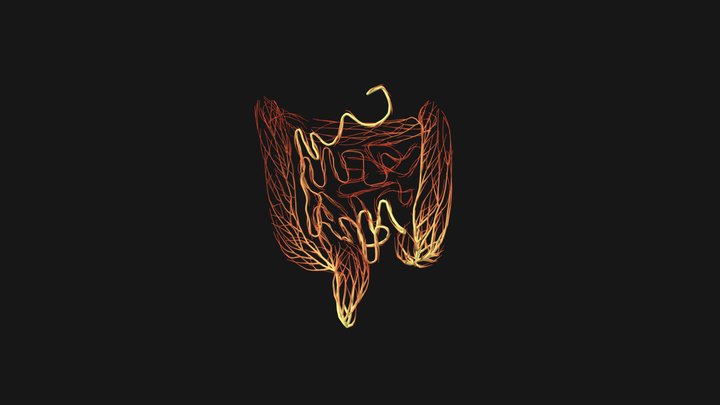 Intestines 3D models - Sketchfab