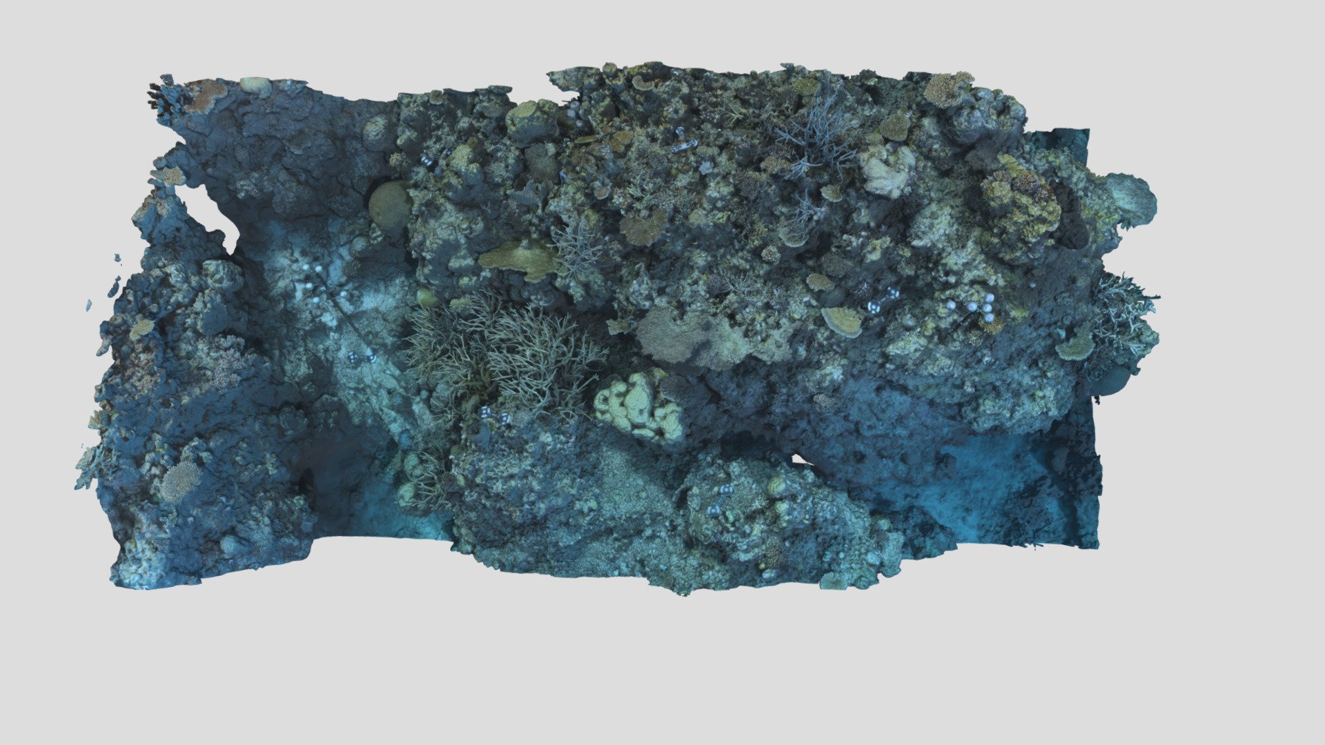 Davies_BA1S_P4_202301 - 3D model by EcoRRAP (@AIMSEcoRRAP) [7837272 ...