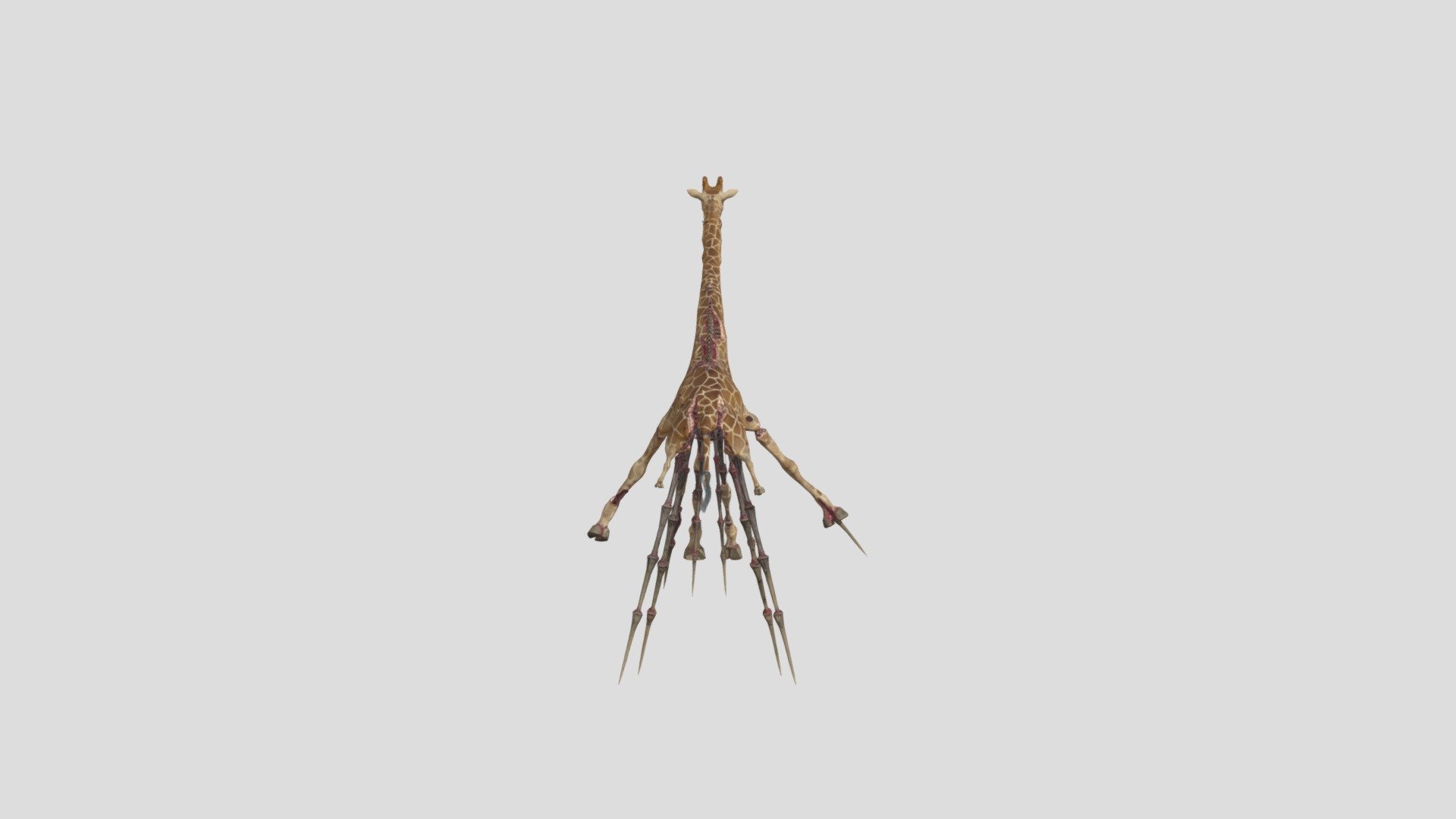 Zoochosis_-_infected_giraffe credits to mg rips - Download Free 3D ...