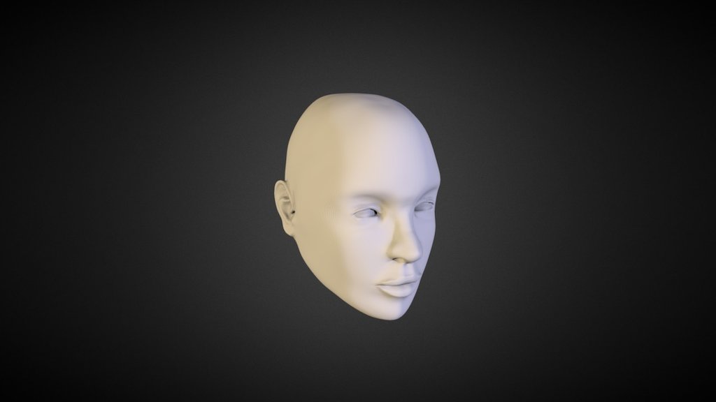 Female Head Study - 3D model by Tom Hogenberg (@daimyotriginz) [783f8a3 ...