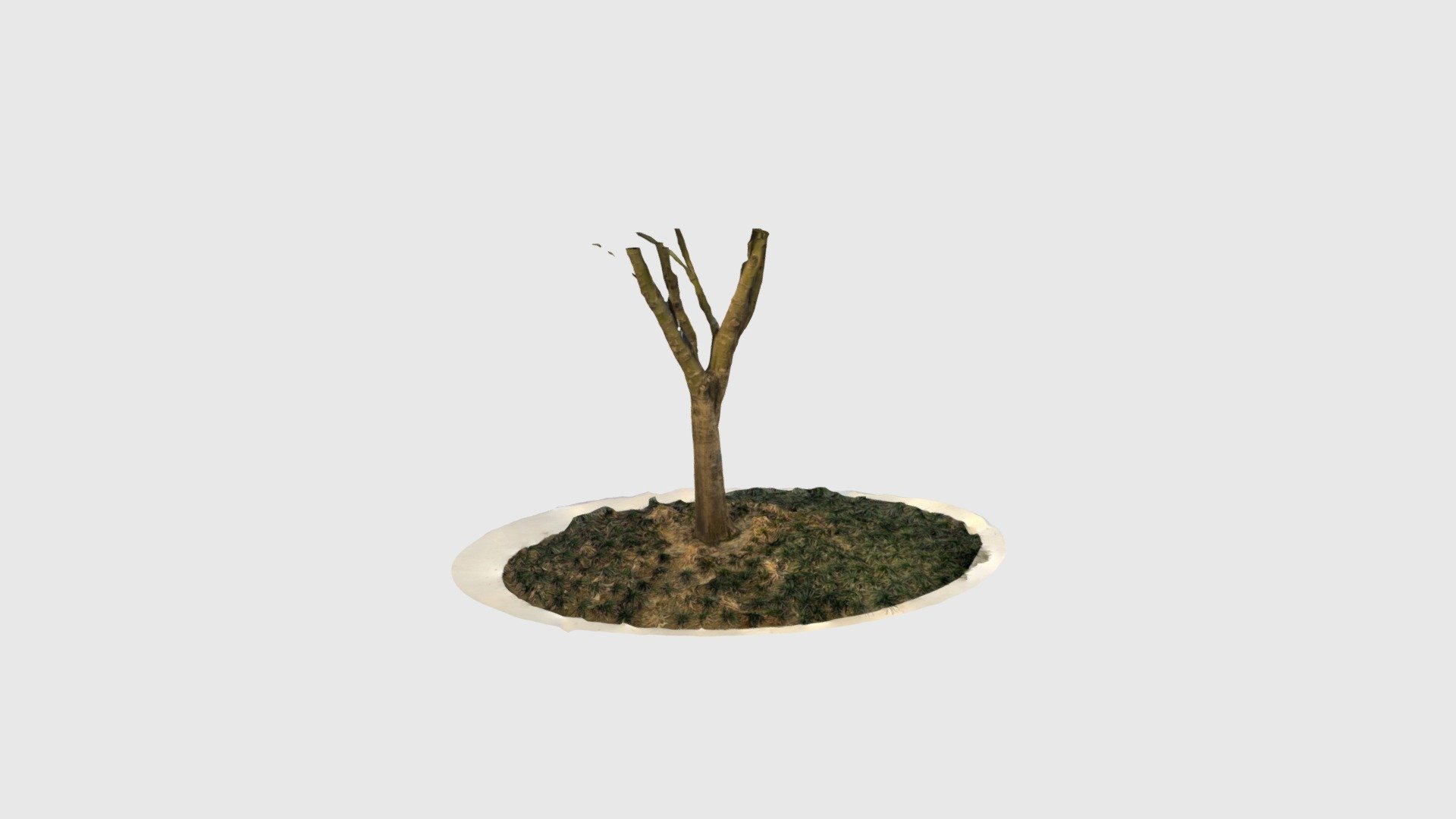 Tree root - Download Free 3D model by Ye Hang (@YeHang) [7841087 ...