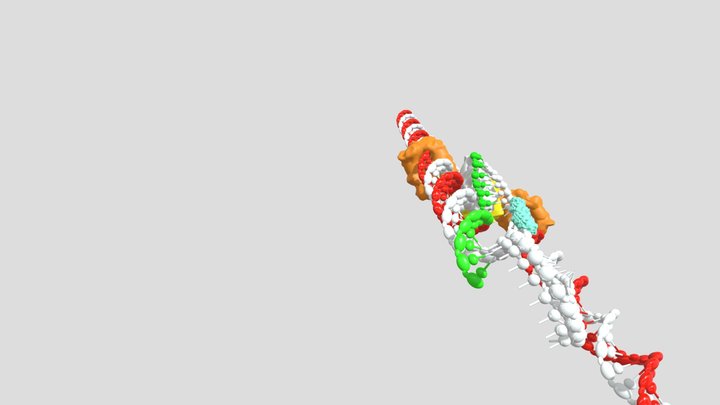 Replication 3D models - Sketchfab