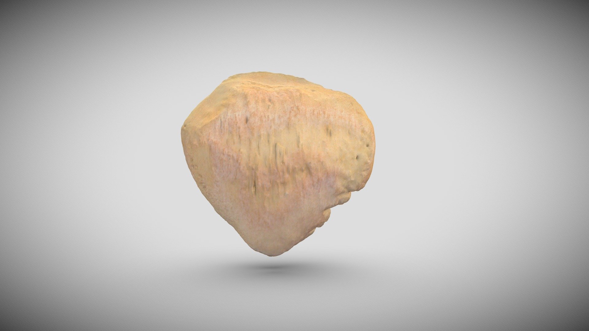 Patella - 3D model by Vida_Lab [7848a6a] - Sketchfab