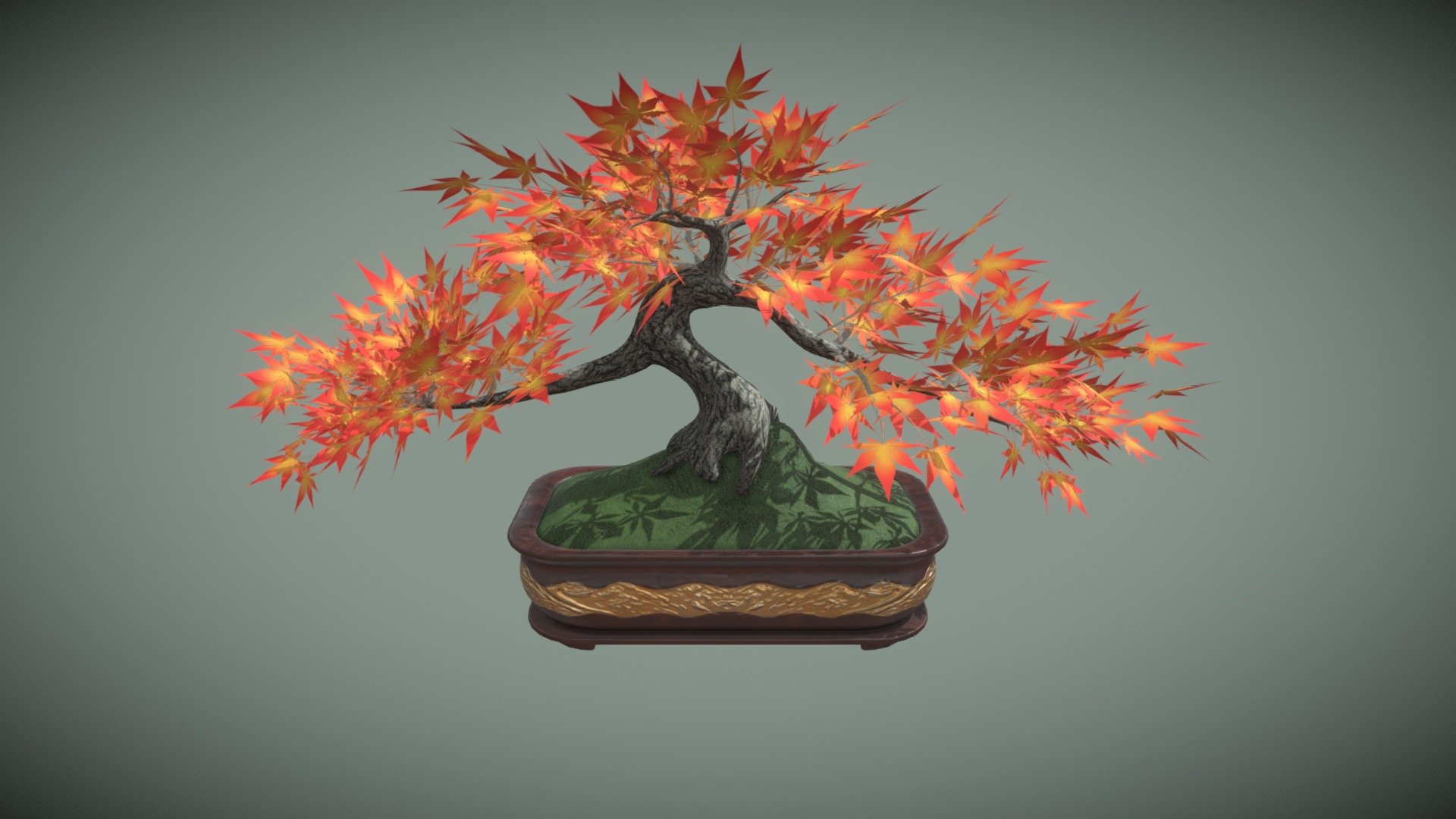 Dynamic Maple Bonsai - 3D model by ZabianRoss [78544e4] - Sketchfab