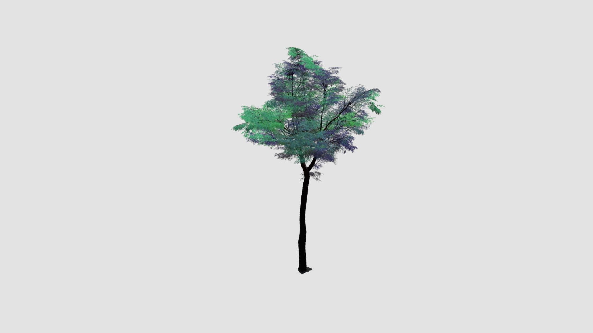 Tree - Buy Royalty Free 3D model by Evermotion [785aa4c] - Sketchfab Store