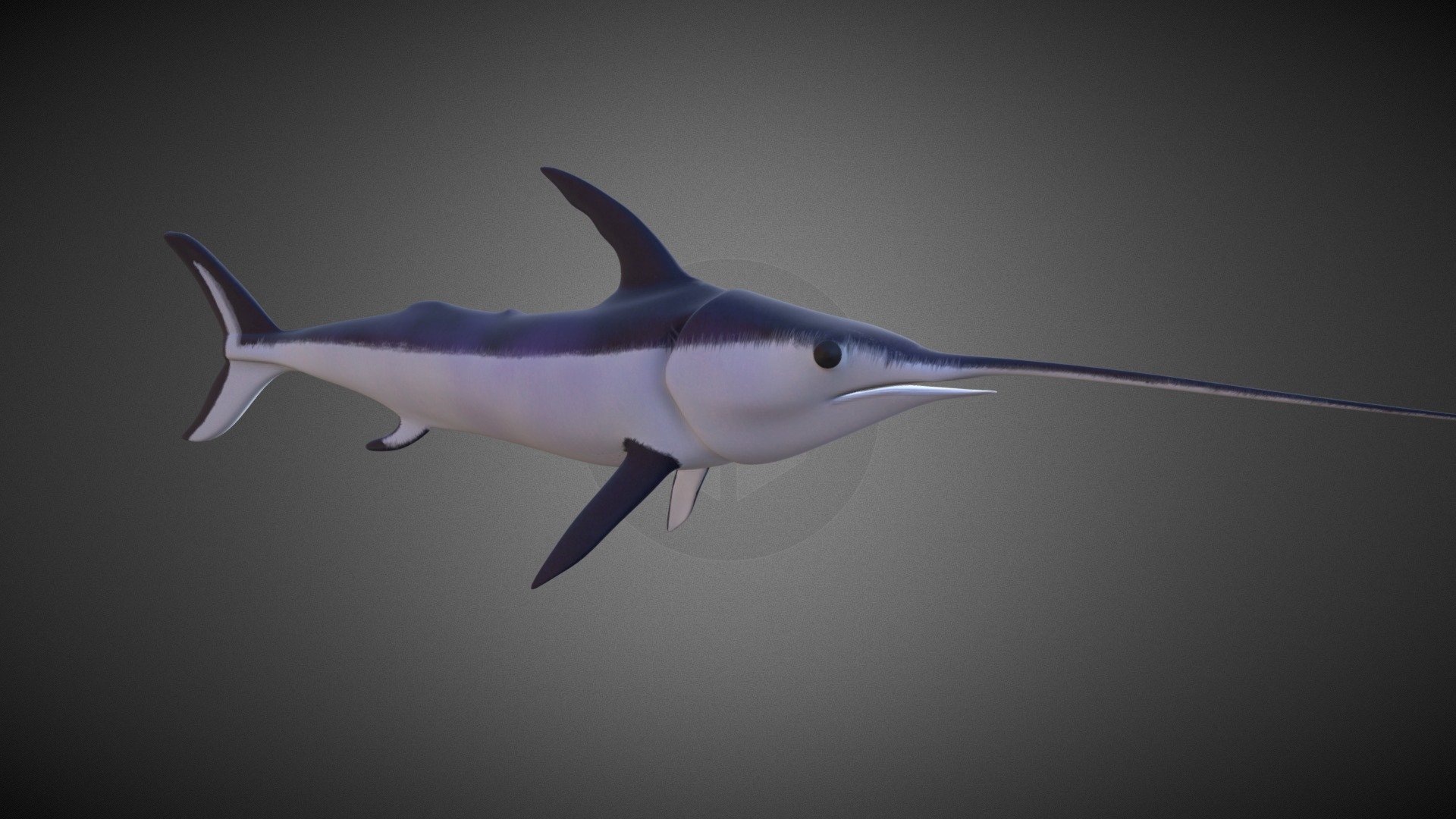 Spadefish - Download Free 3D model by Batton [785eb05] - Sketchfab