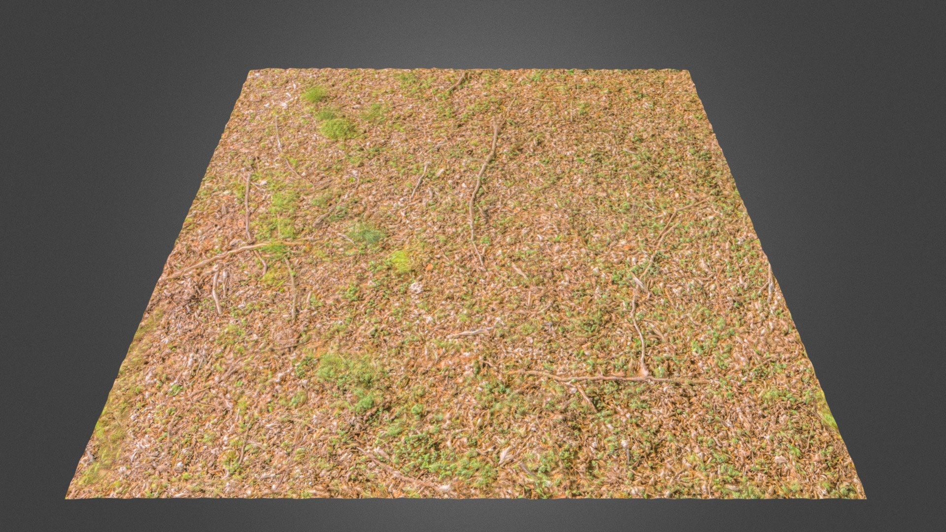 Forest Ground VII - 3D model by ProjectNature [7862af0] - Sketchfab