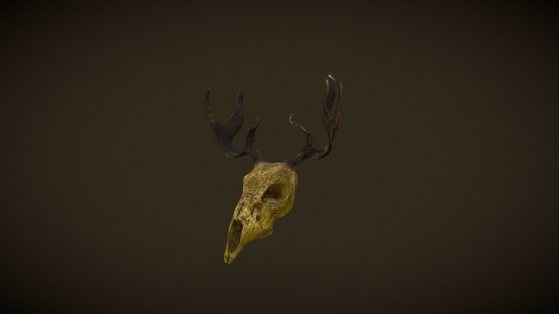 Deer Head Prop - 3D model by coffincattt (@coffeecattt) [7869b60 ...